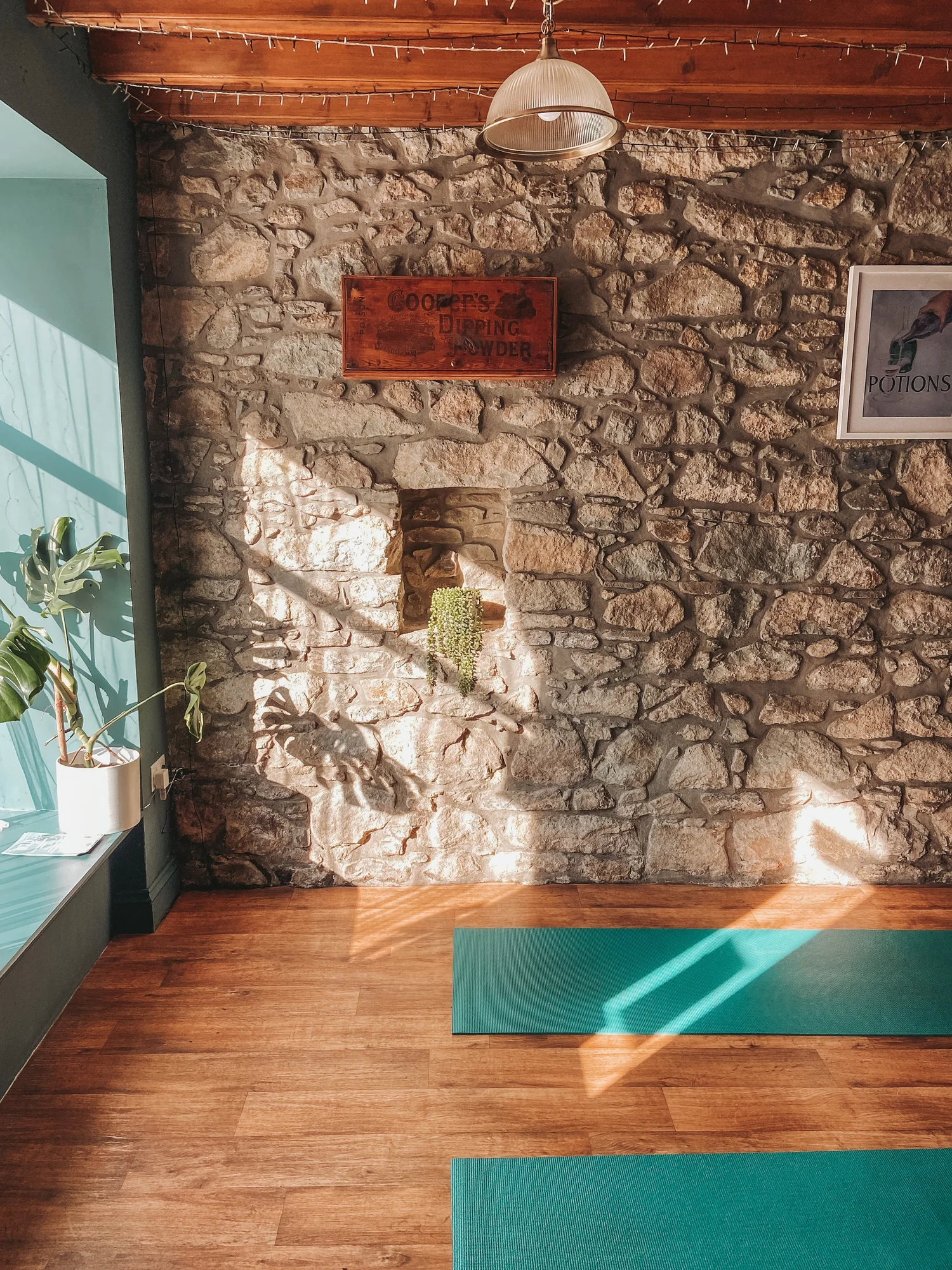 Wild Yoga Studio
