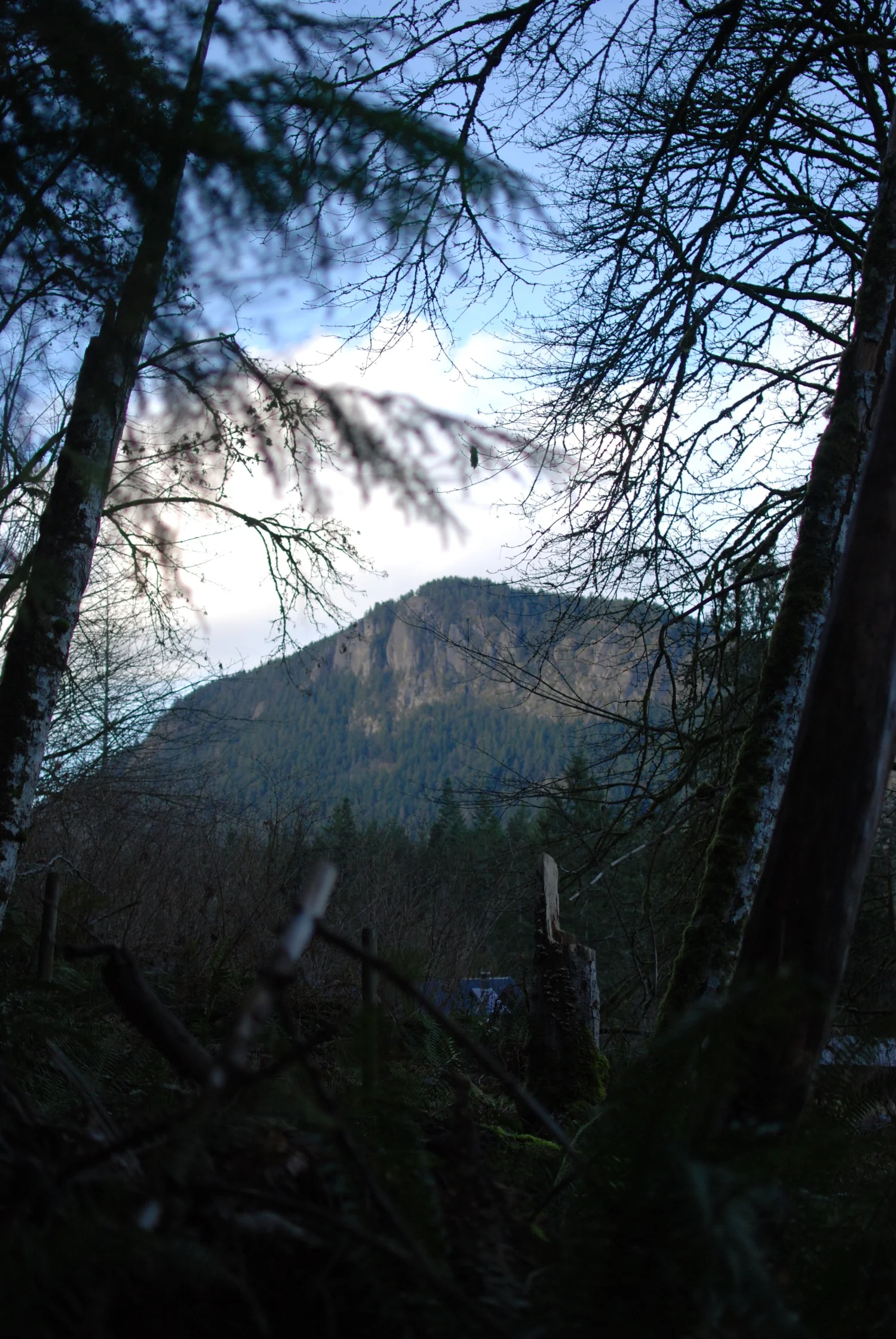 Salt Spring Brewing Co.