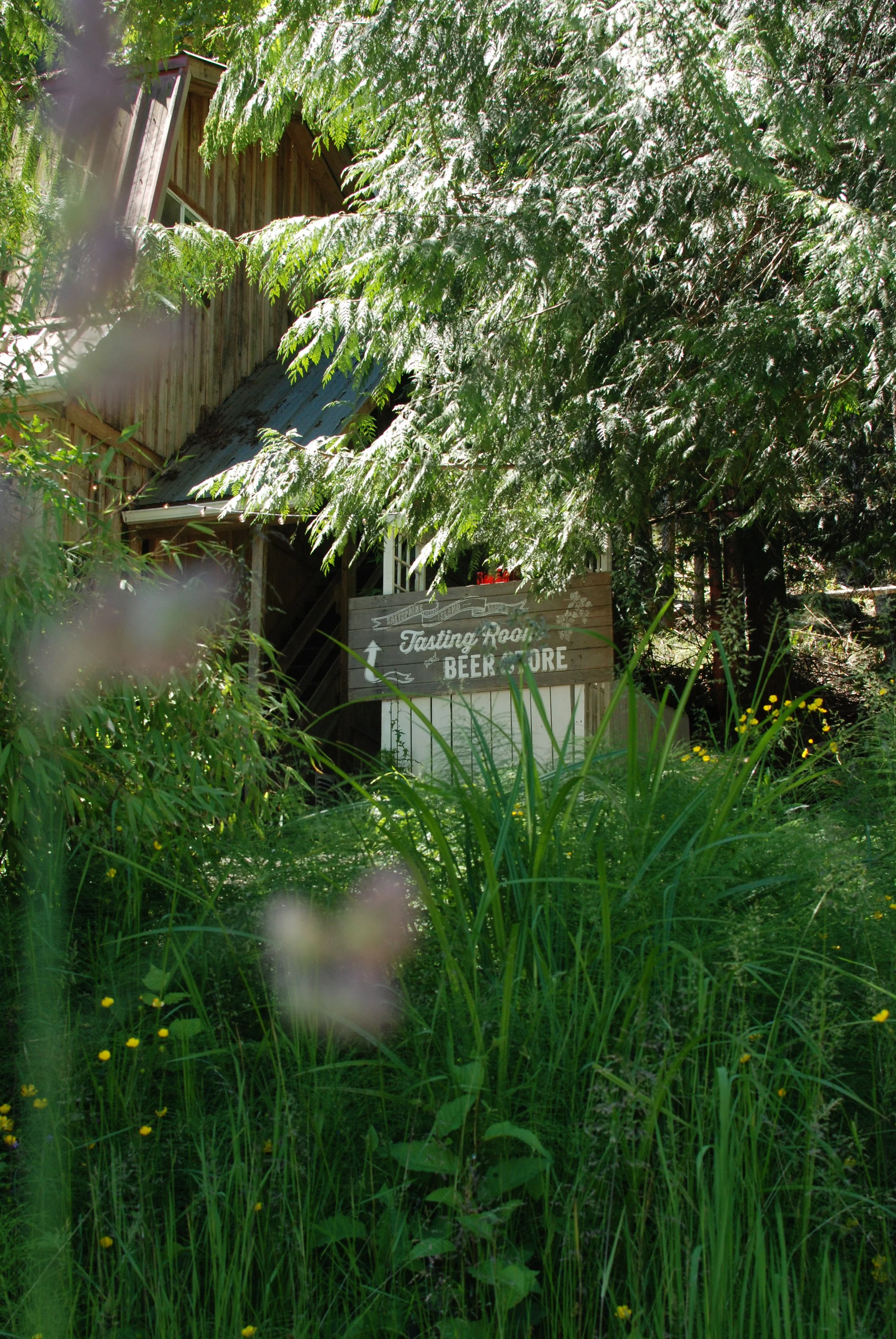 Salt Spring Brewing Co.