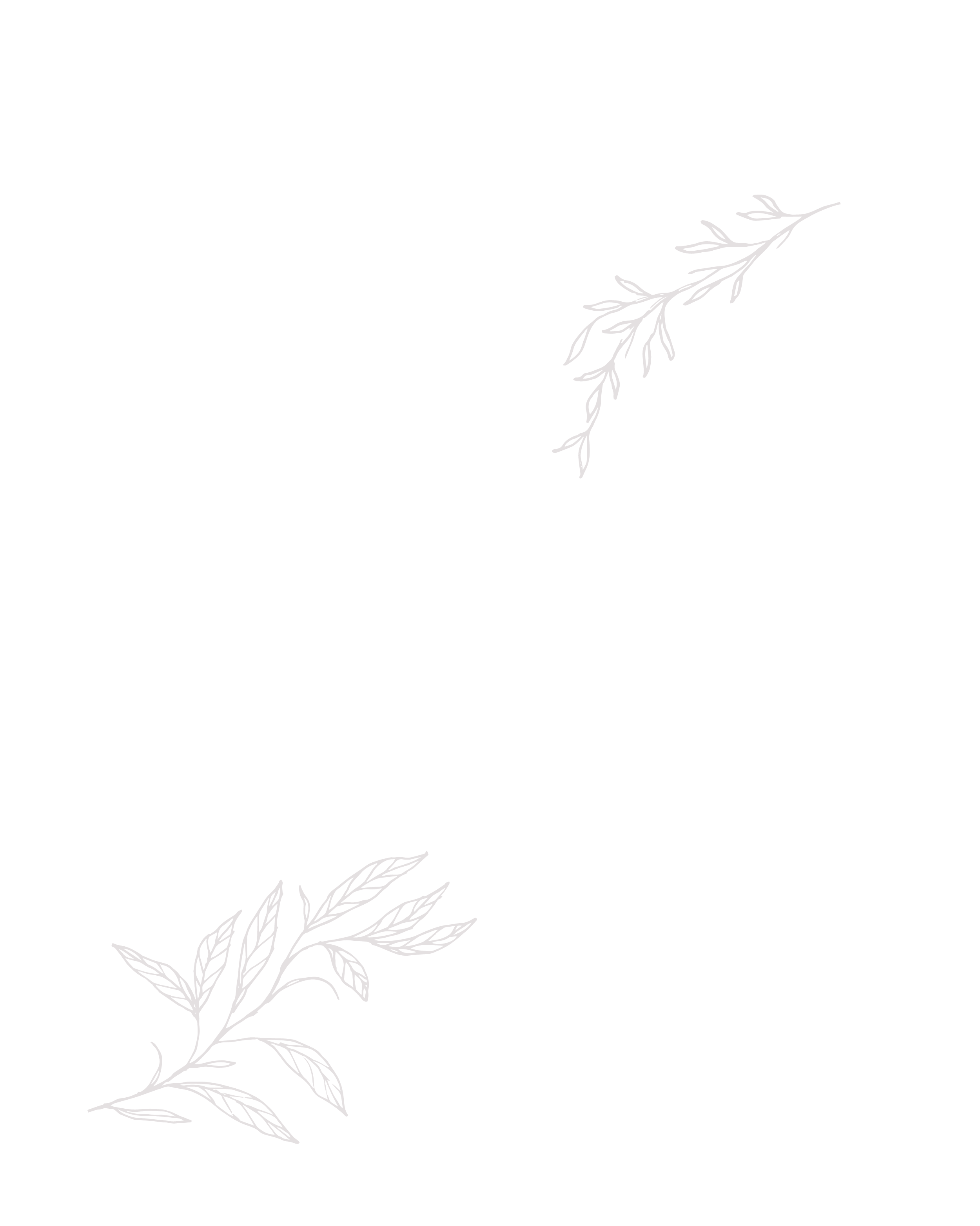 Gallery — Deborah Jacobson