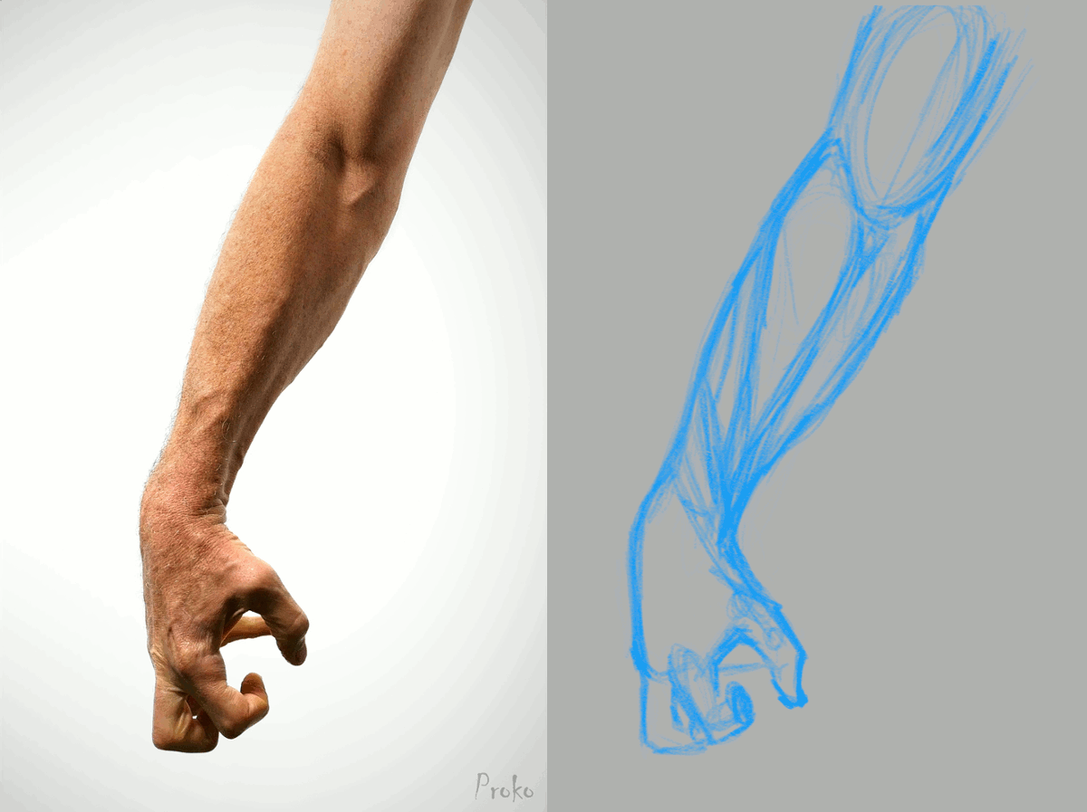 Figure Drawing — Aran P. Ink