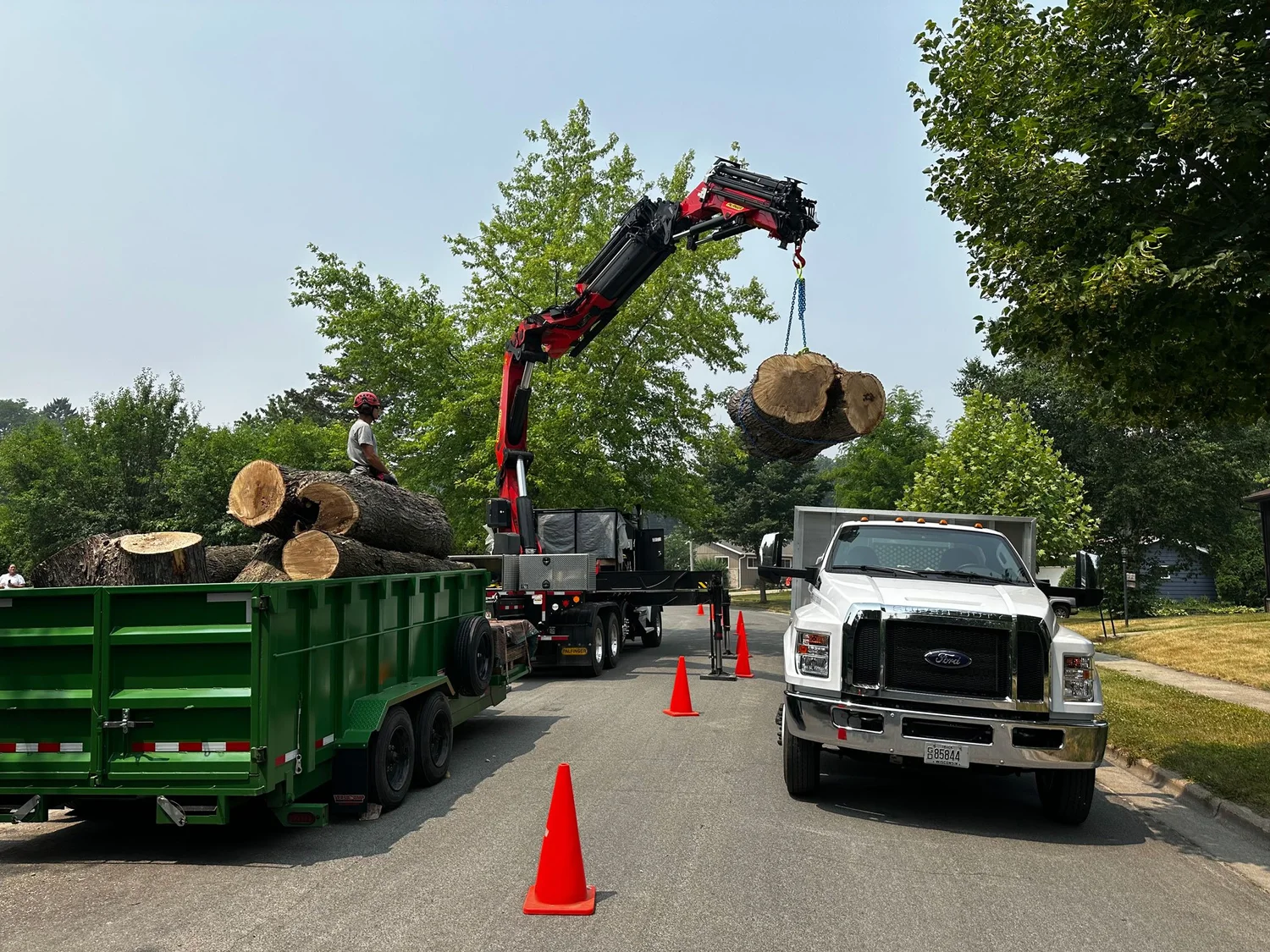 Tree Removal, Trimming, Pruning | Nikolas Tree Service | Madison, WI