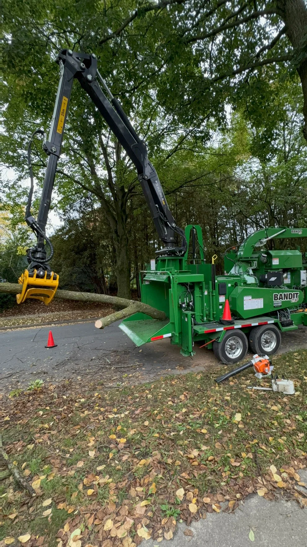 Tree Removal, Trimming, Pruning | Nikolas Tree Service | Madison, WI