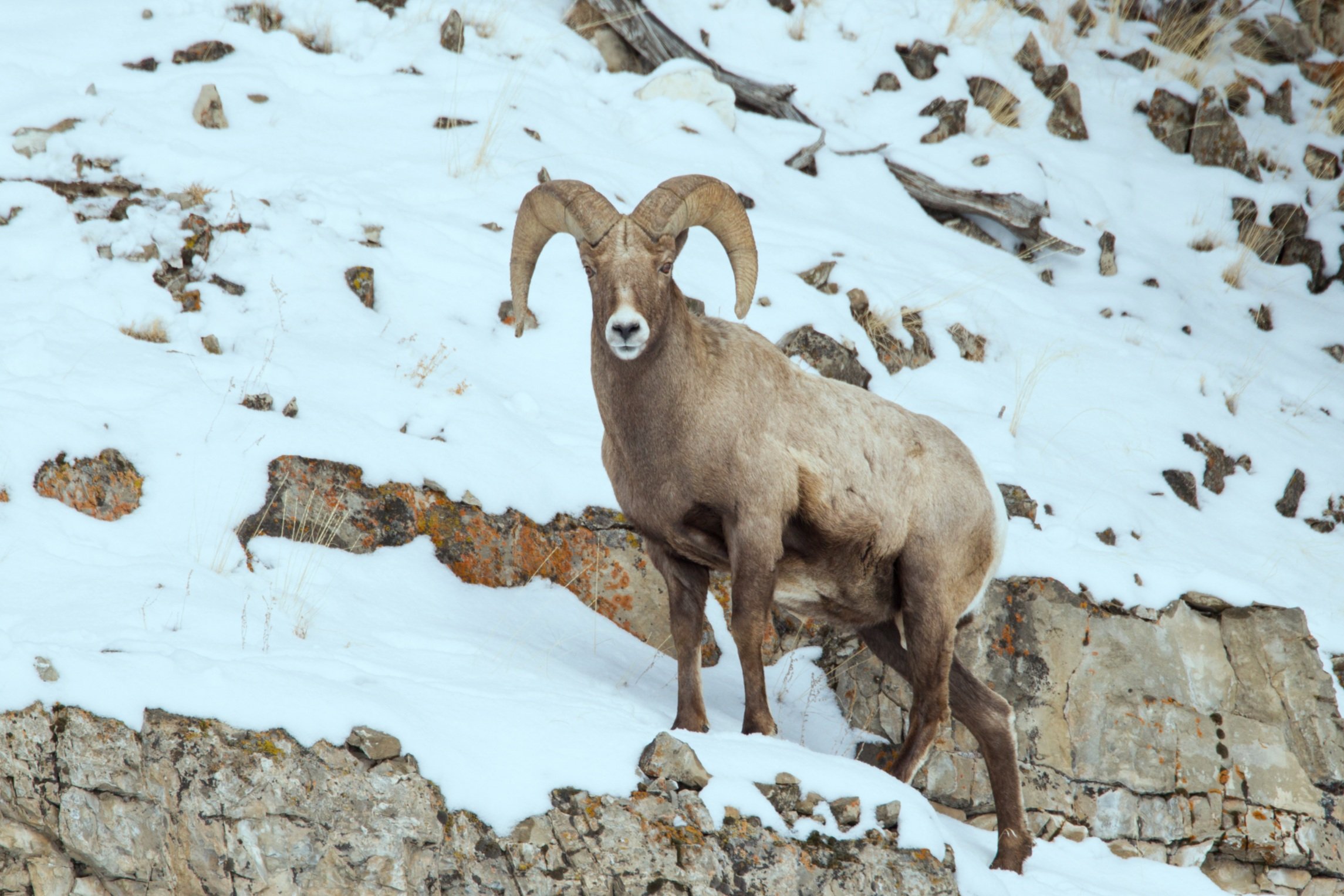 So You Love The Cold? Check out These Winter RV Destinations ...