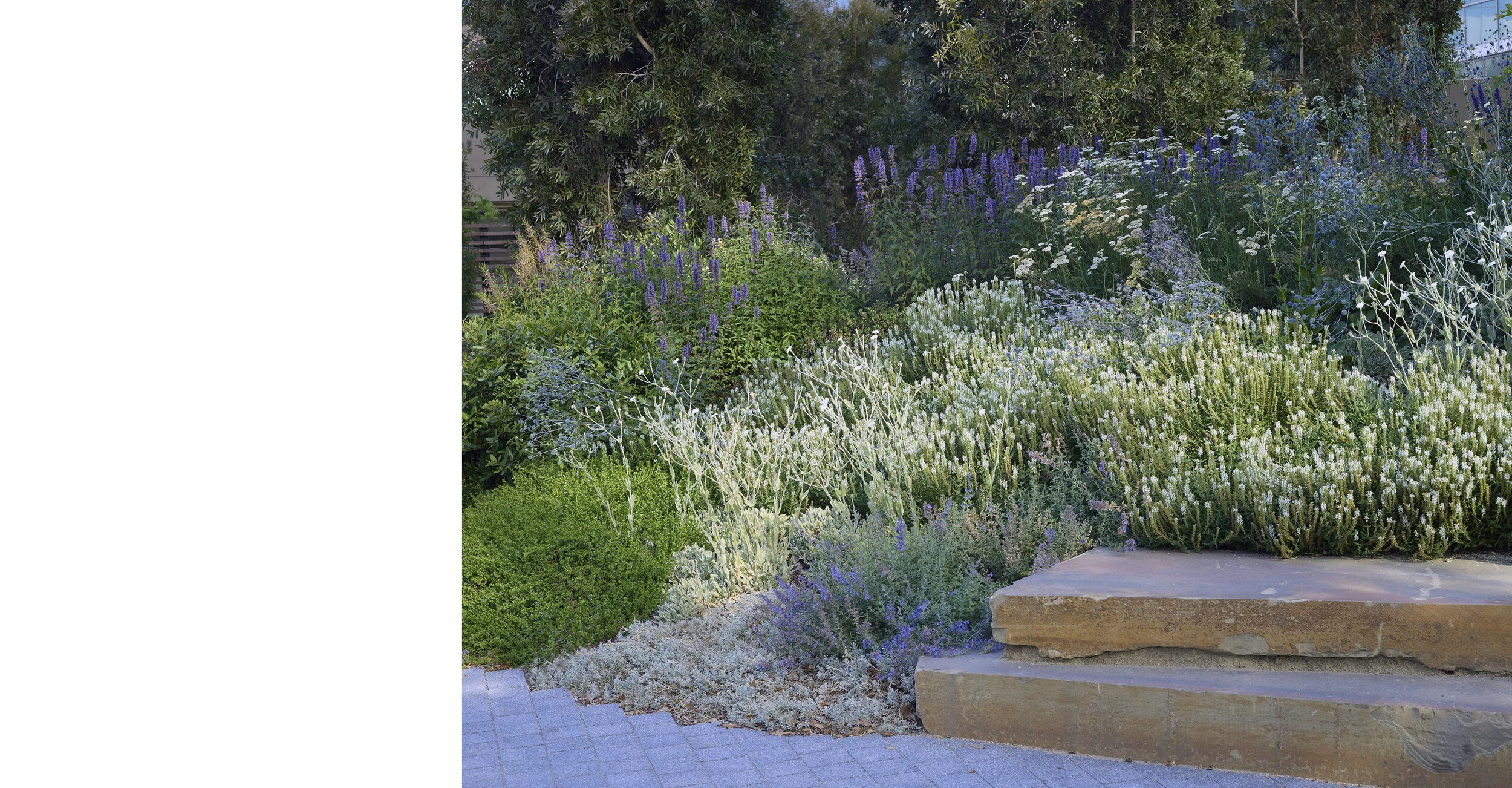 Pierpoint Lane — Surfacedesign, Inc.