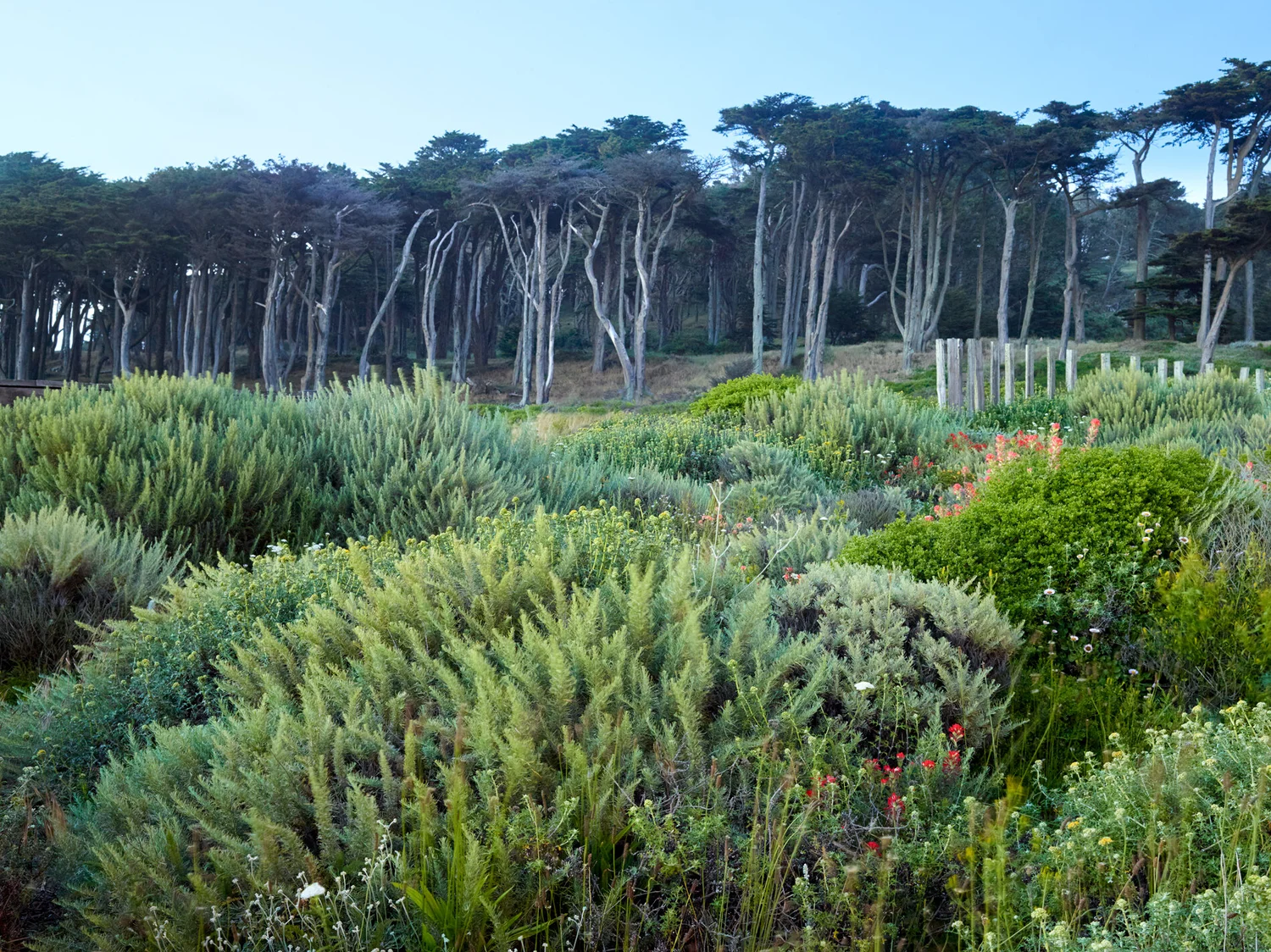 Lands End Lookout — Surfacedesign, Inc.