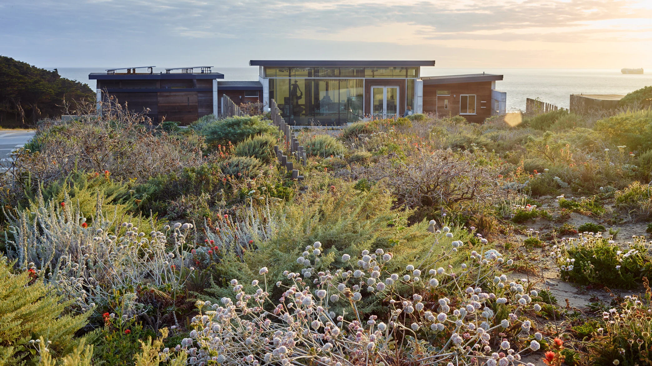 Studio — Surfacedesign, Inc.