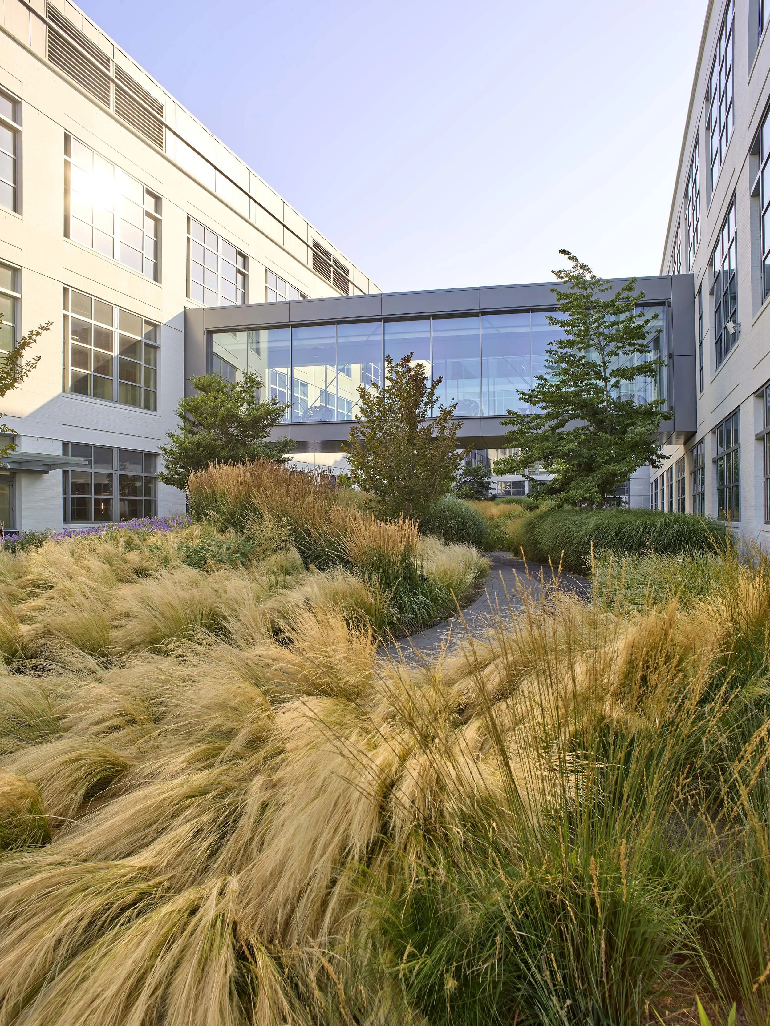 Expedia HQ — Surfacedesign, Inc.