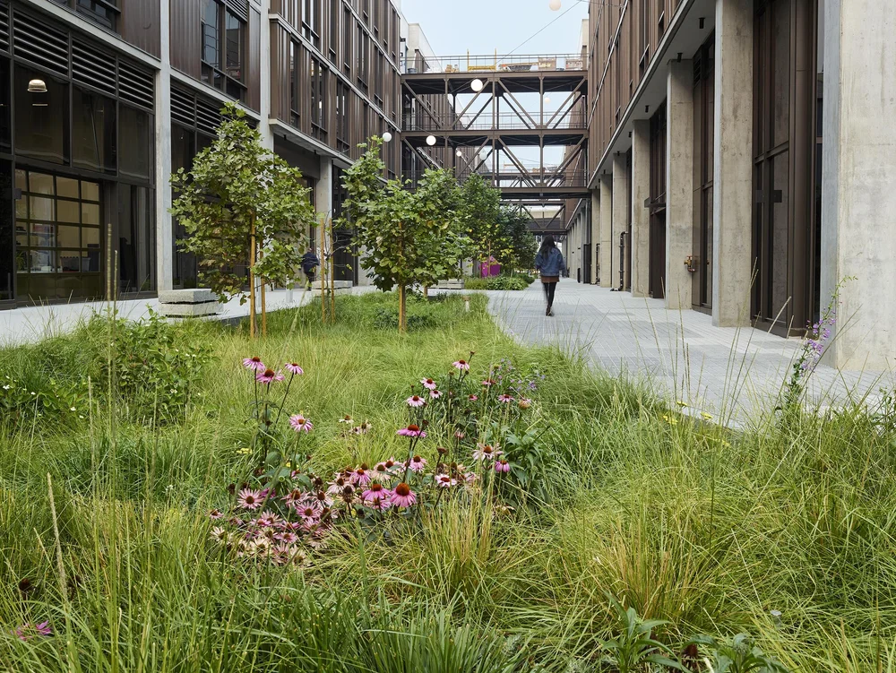 Hooper Street — Surfacedesign, Inc.