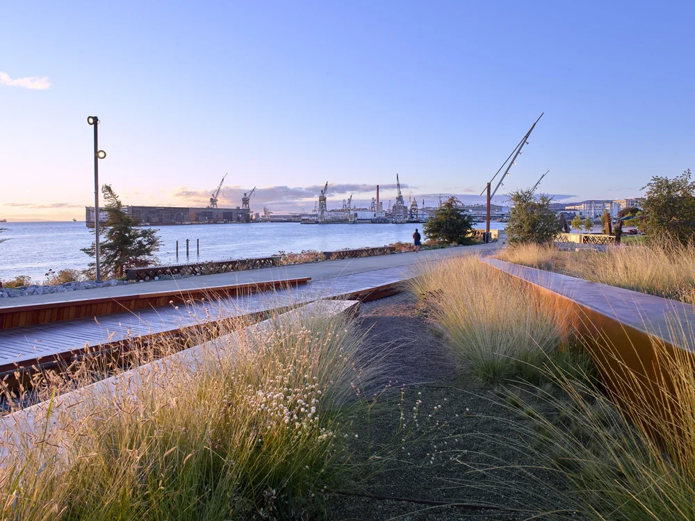 Mission Bay Bayfront Park — Surfacedesign, Inc.