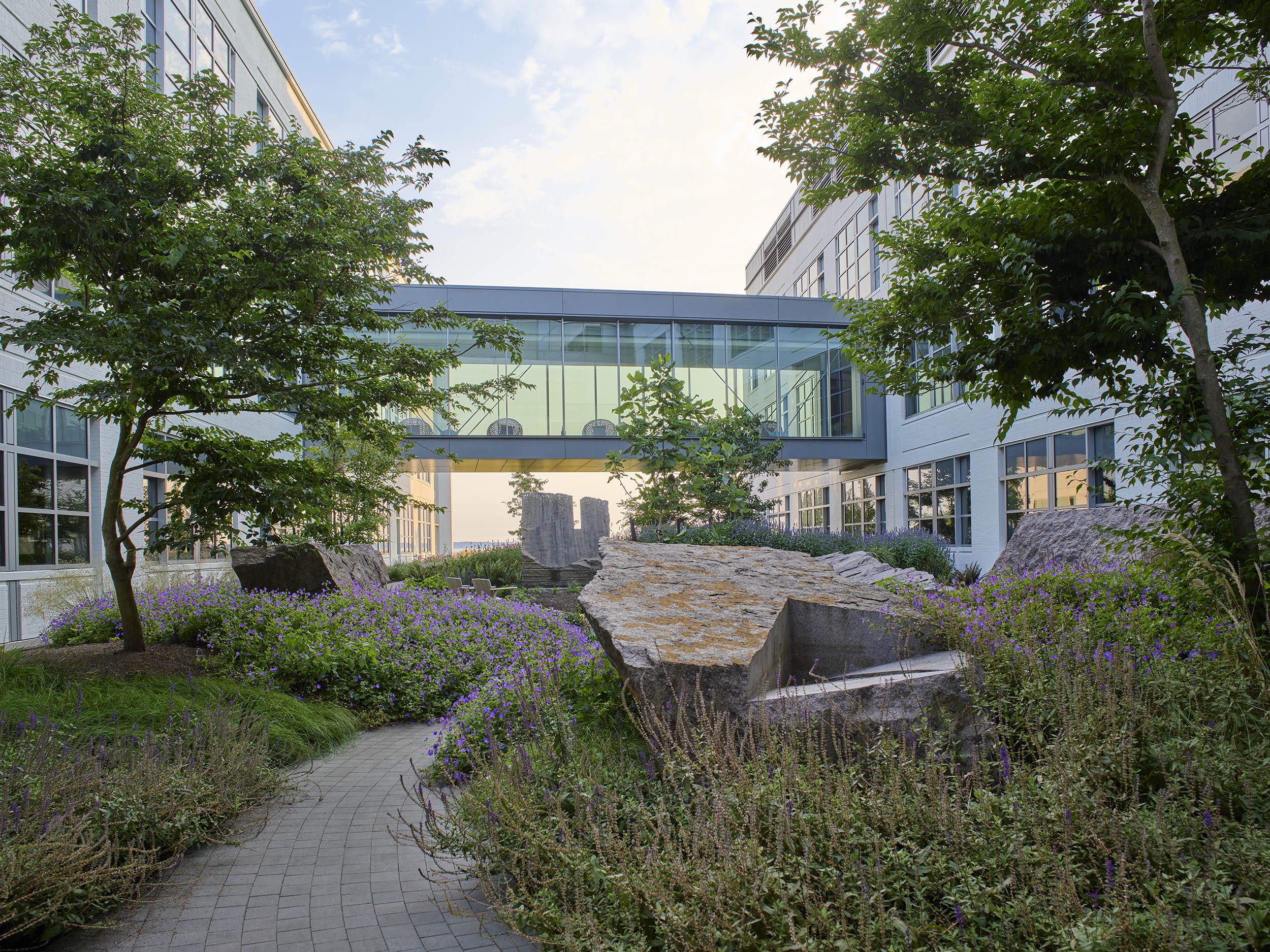 Expedia HQ — Surfacedesign, Inc.