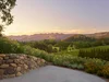 Faust Winery — Surfacedesign, Inc.