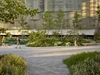 Pierpoint Lane — Surfacedesign, Inc.
