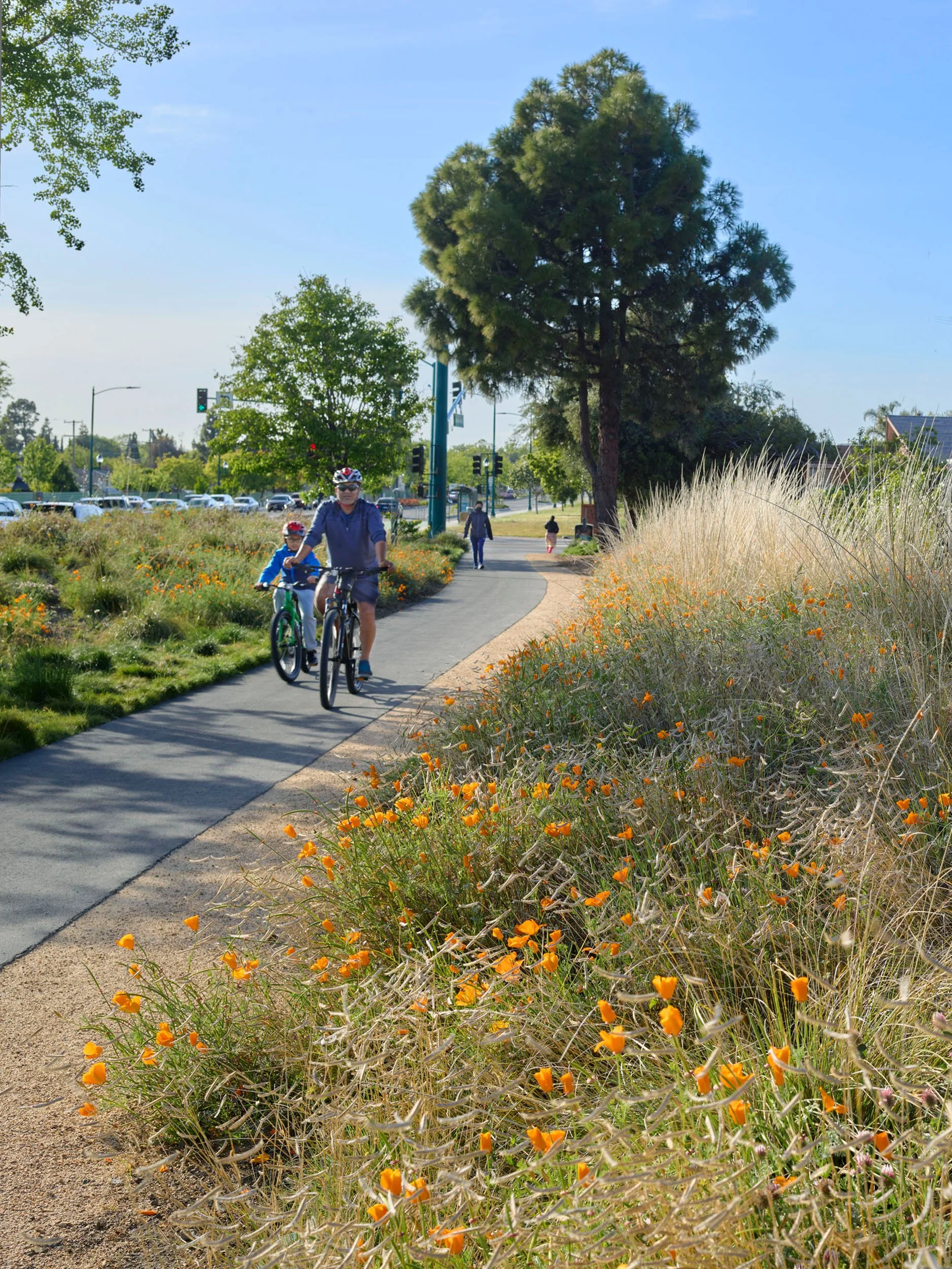 Mission Boulevard Linear Park — Surfacedesign, Inc.