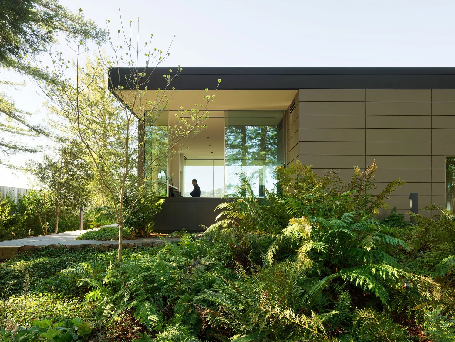 Spring Road — Surfacedesign, Inc.