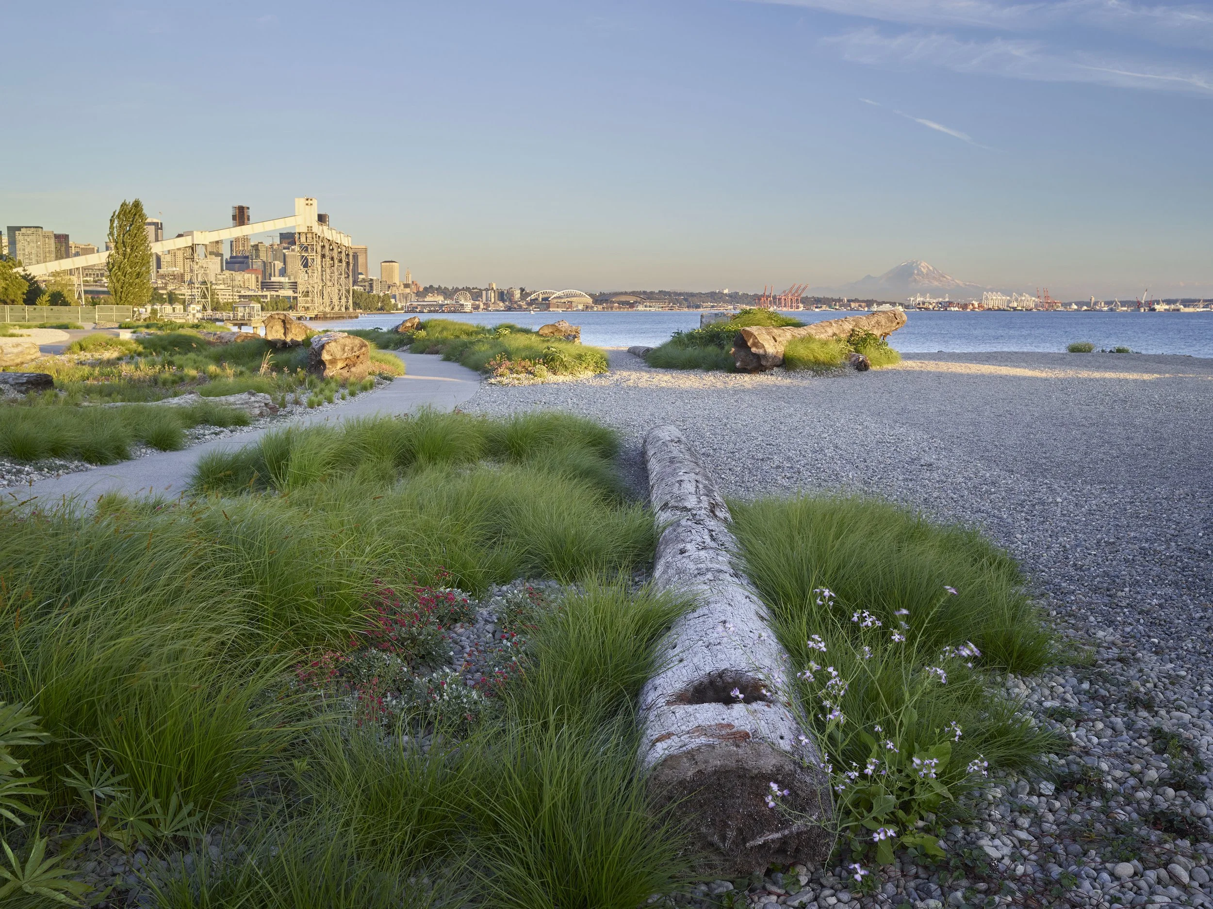 Expedia HQ — Surfacedesign, Inc.