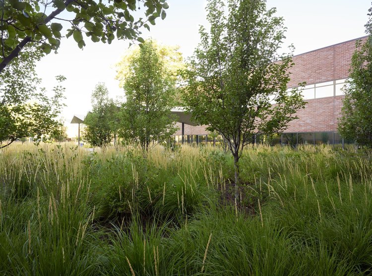 Community College of Denver — Surfacedesign, Inc.