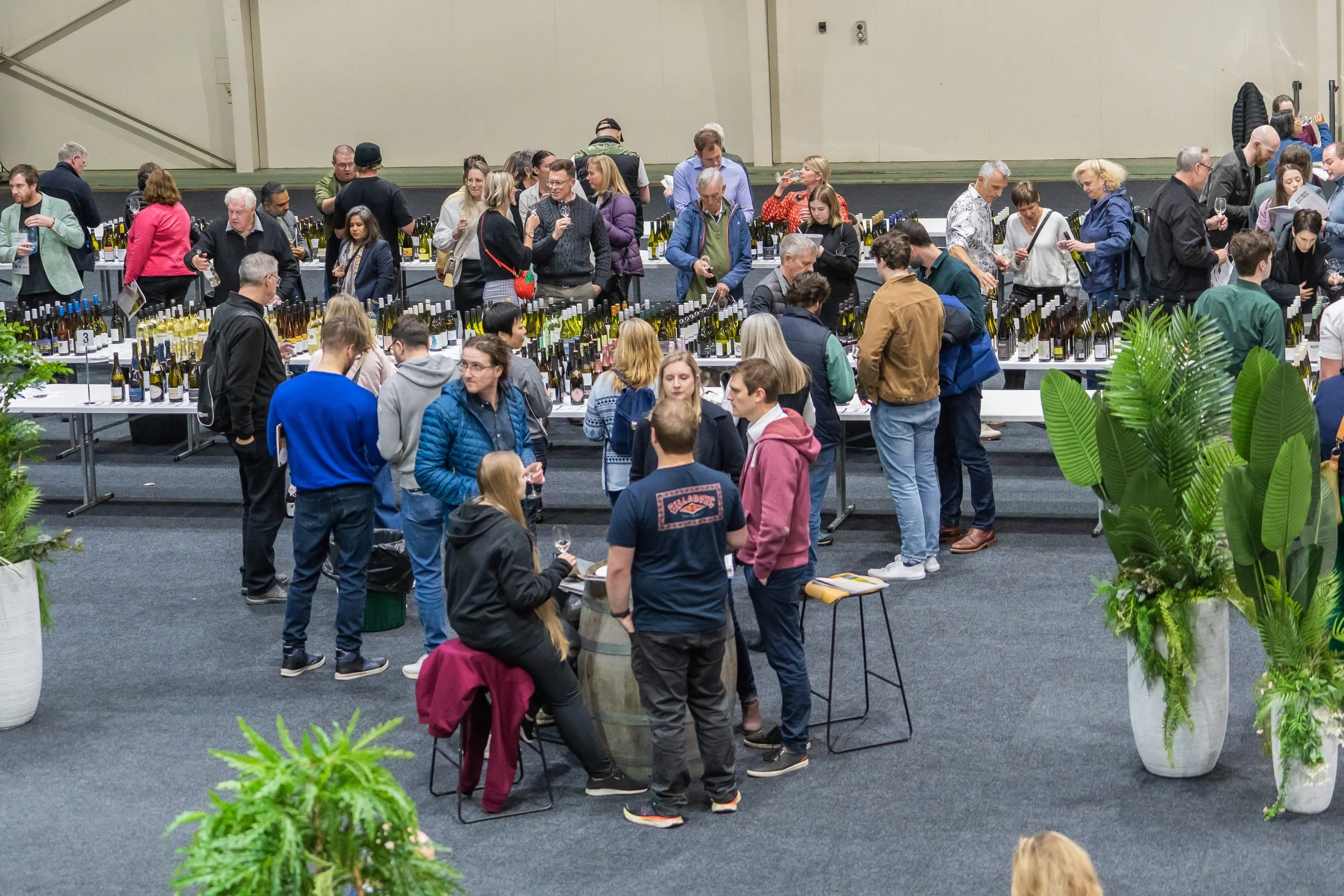 National Wine Festival — National Wine Show