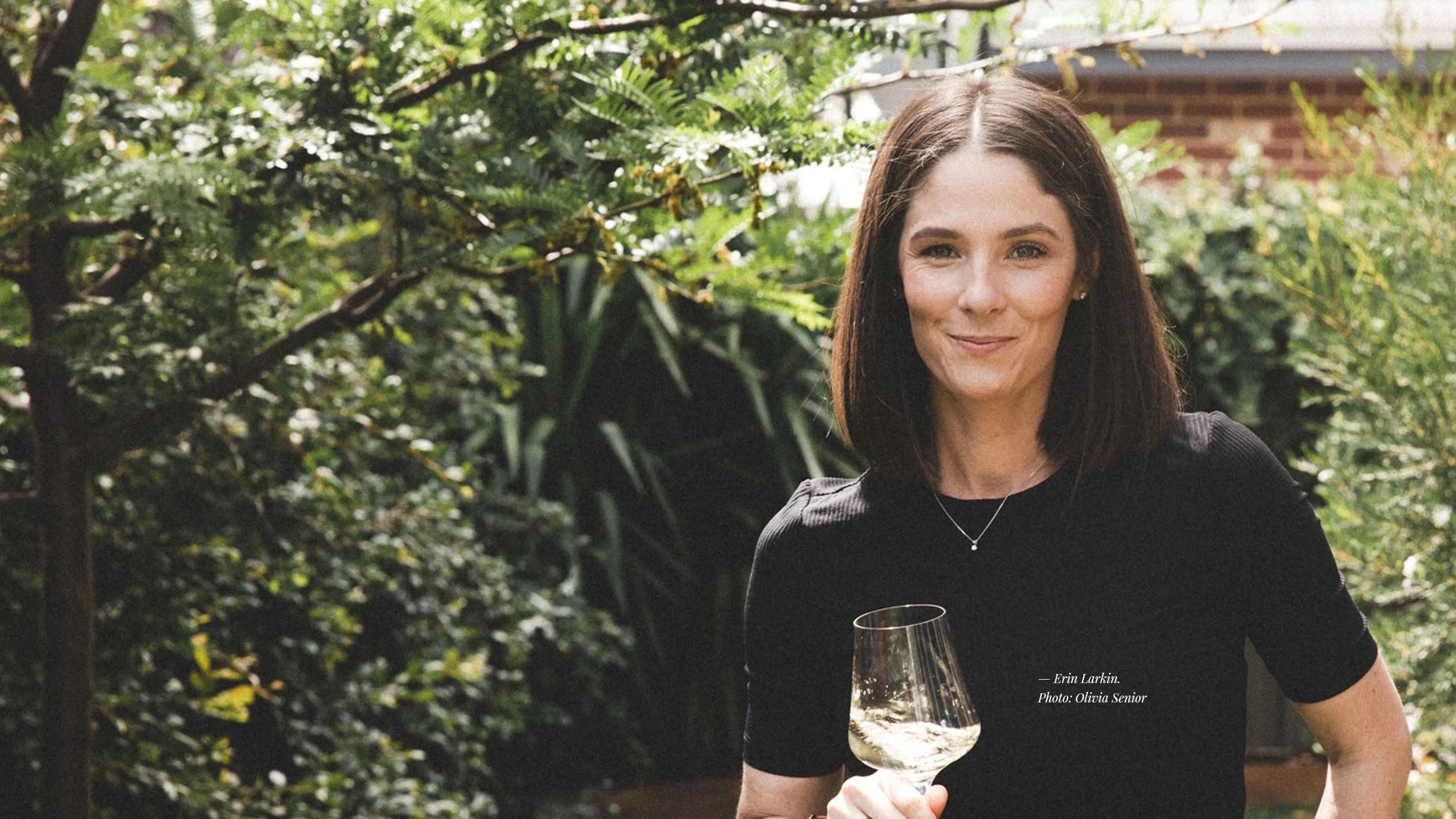 National Wine Festival — National Wine Show