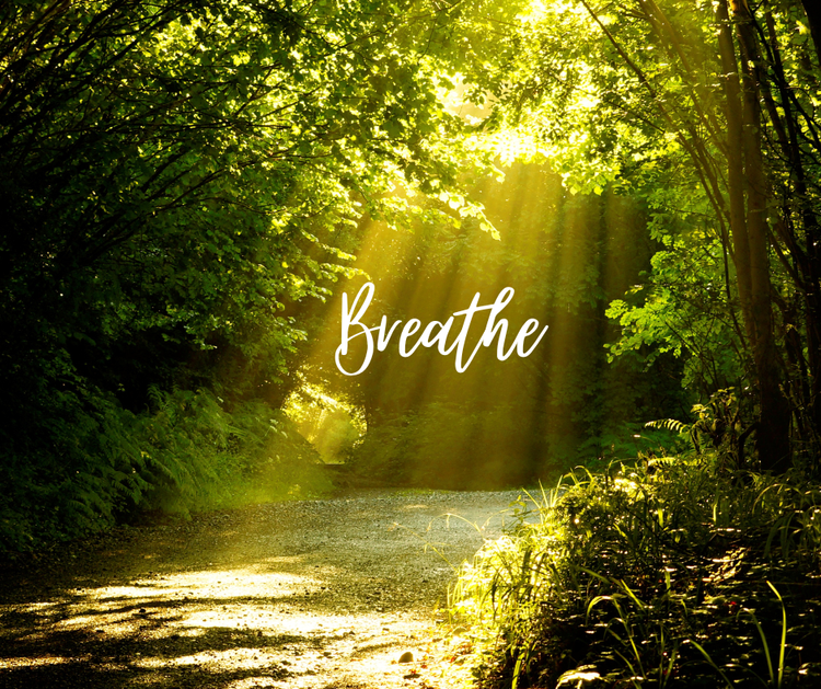 Guided Retreats — Stanton House