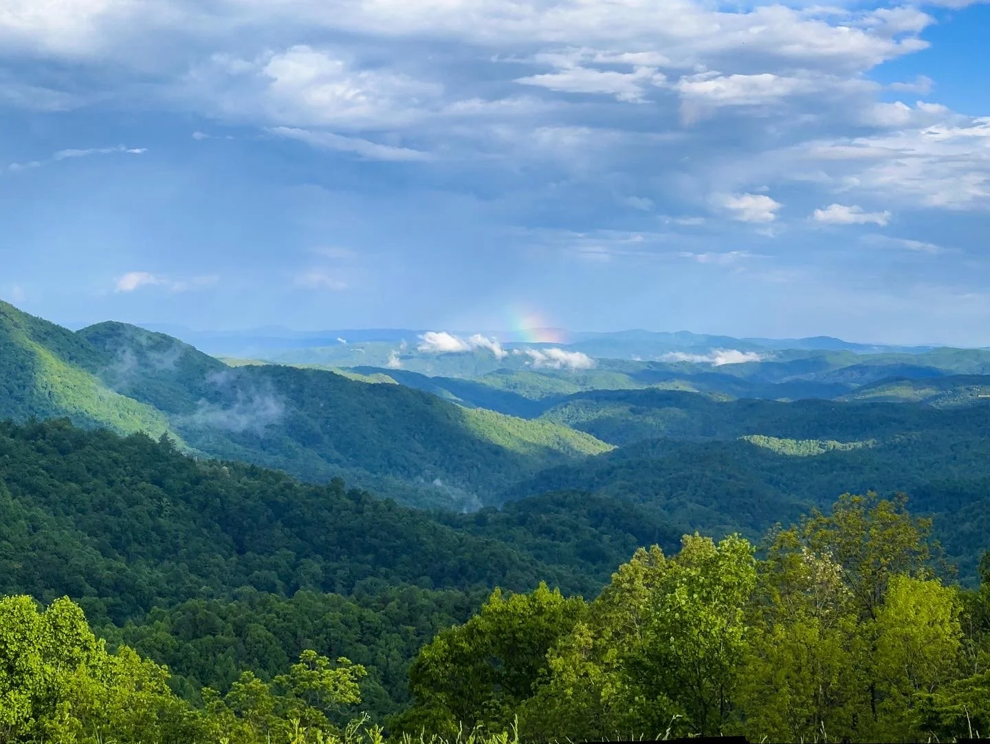 Matt Davis - Real Estate Broker North Carolina