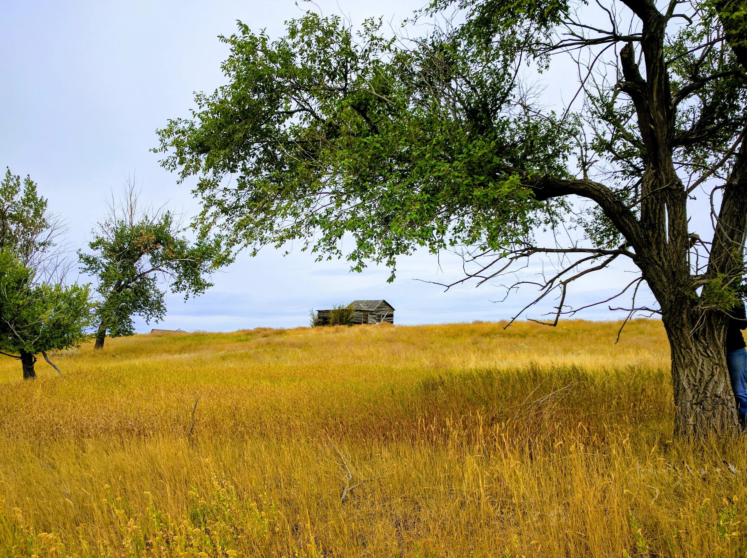 About — Rust Hill Ranch