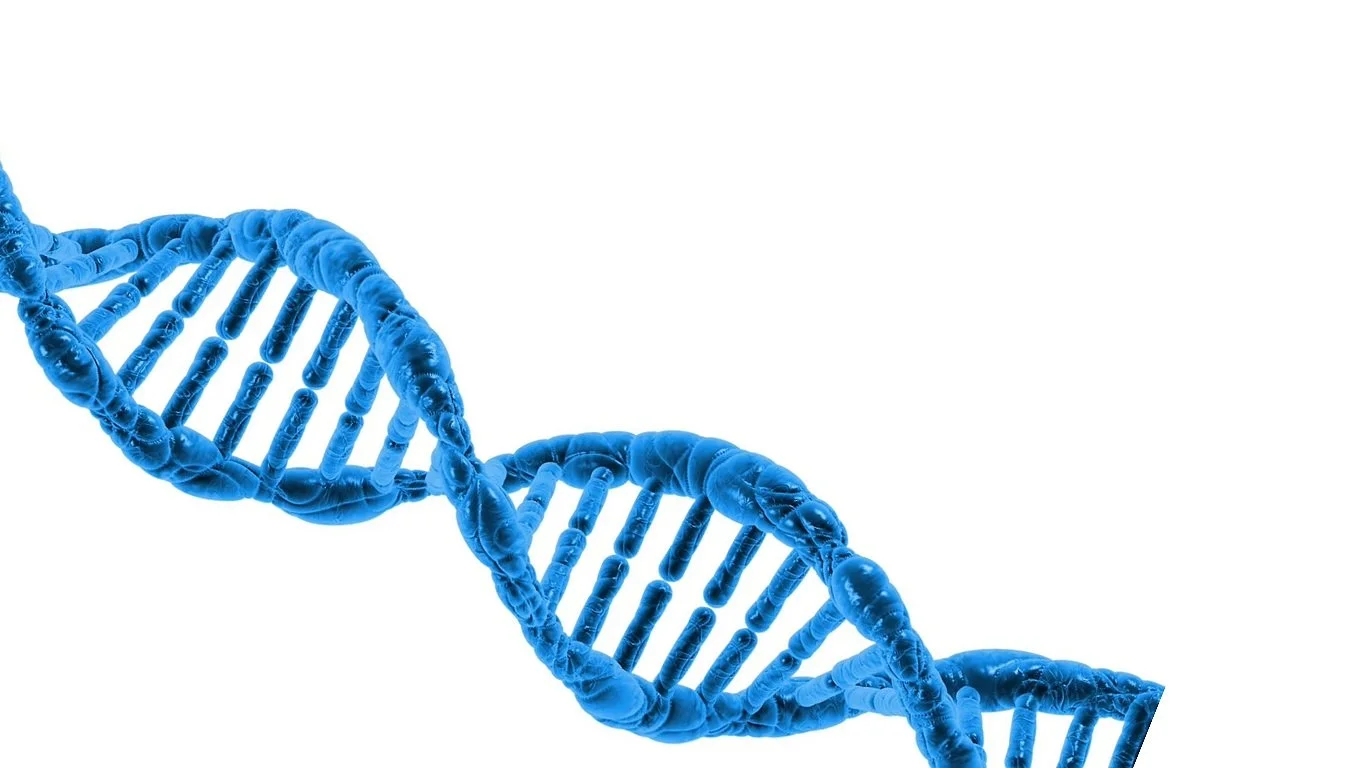 Nutrigenomics - DNA testing