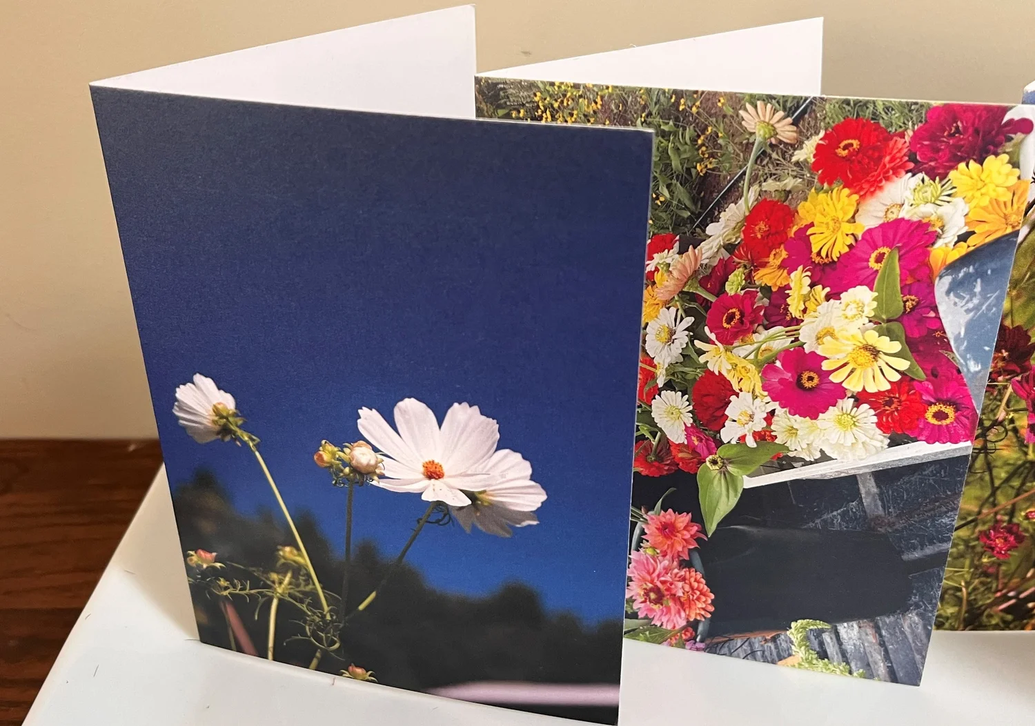 Flower Design For Greeting Card | Best Flower Site