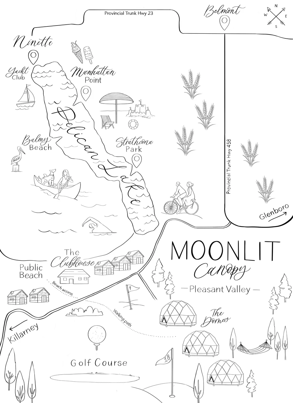 Moonlit Canopy