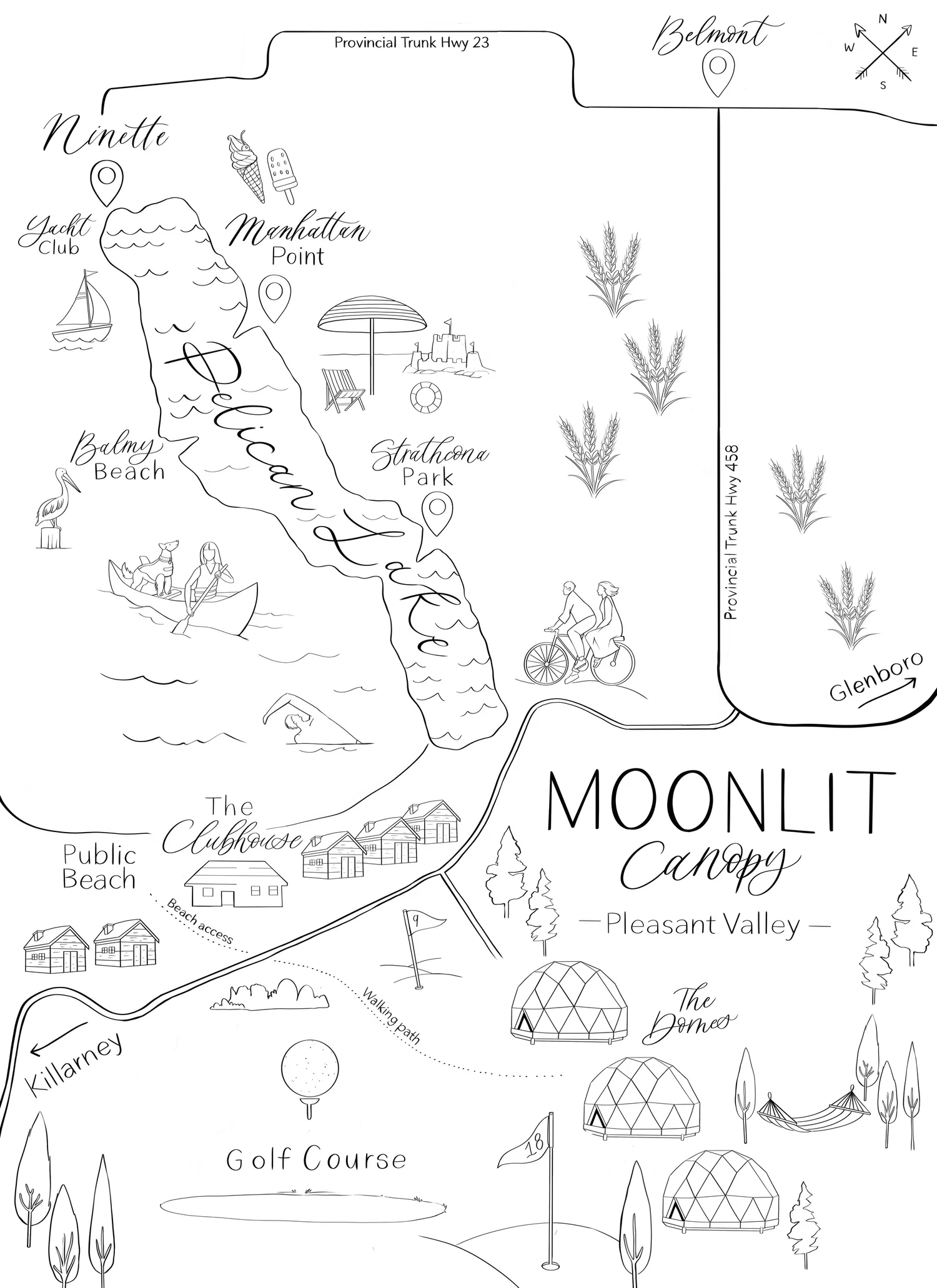 Moonlit Canopy