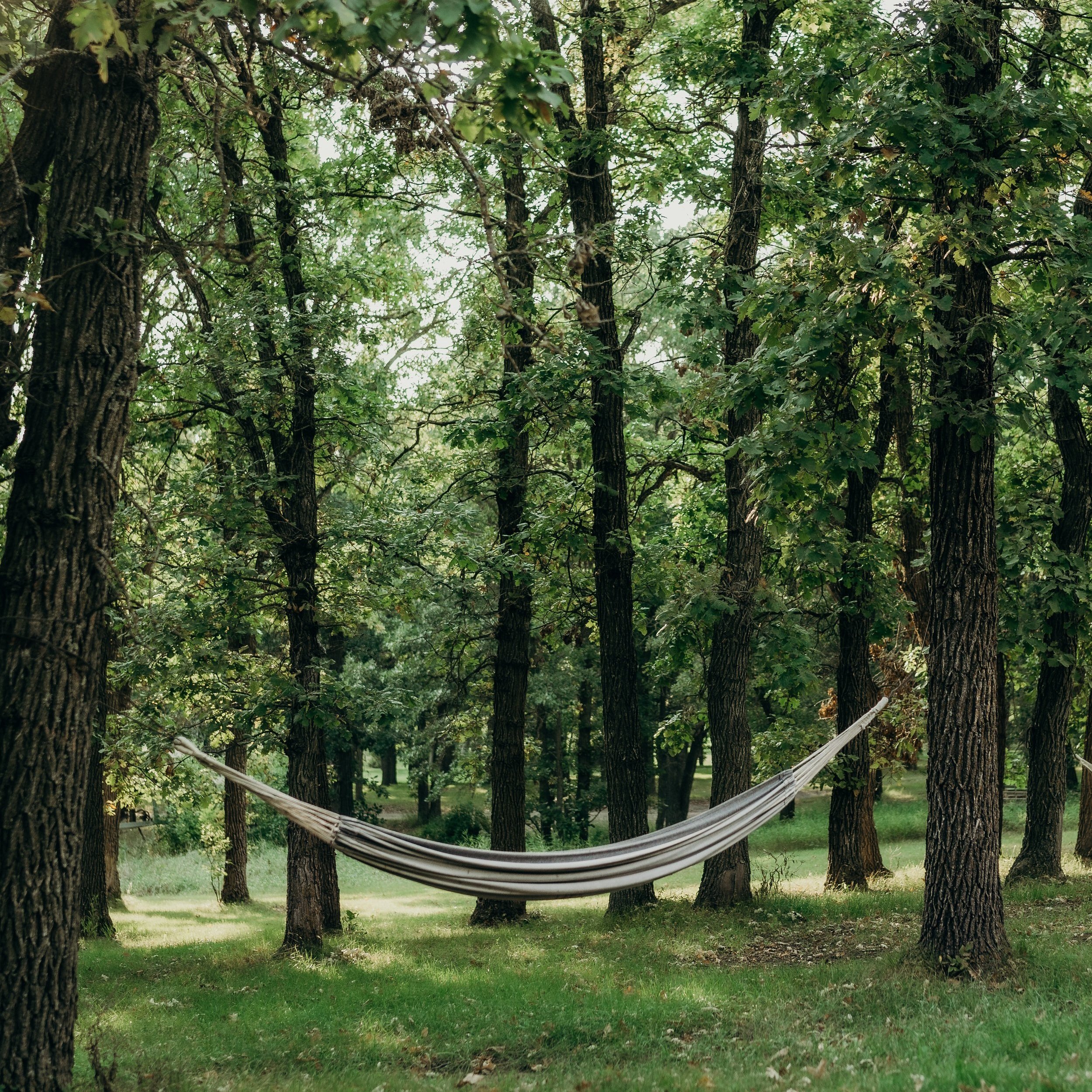 Moonlit Canopy is a place to unwind while enjoying all that nature has ...