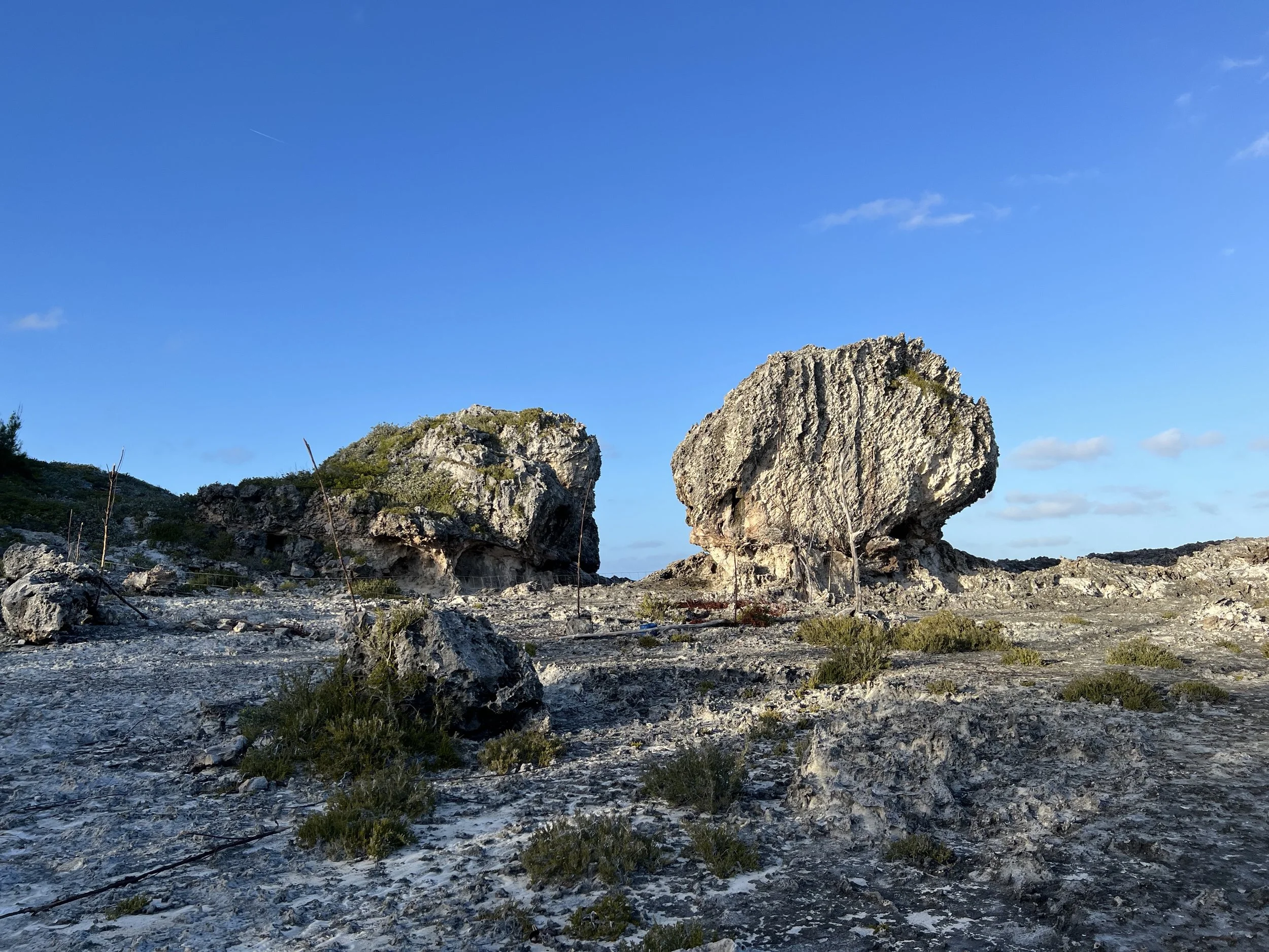 Guide to Eleuthera Bahamas — Scarlett Chang