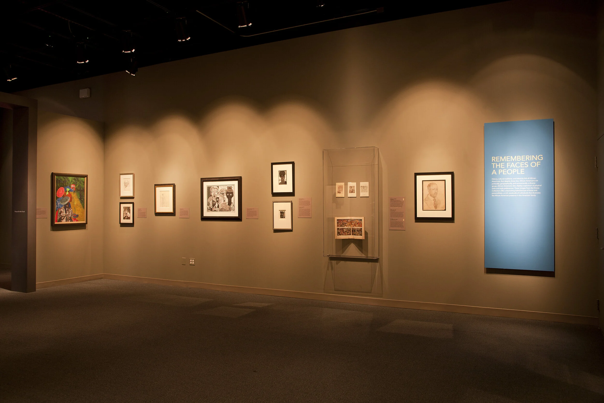 The Collection — The Kinsey Collection