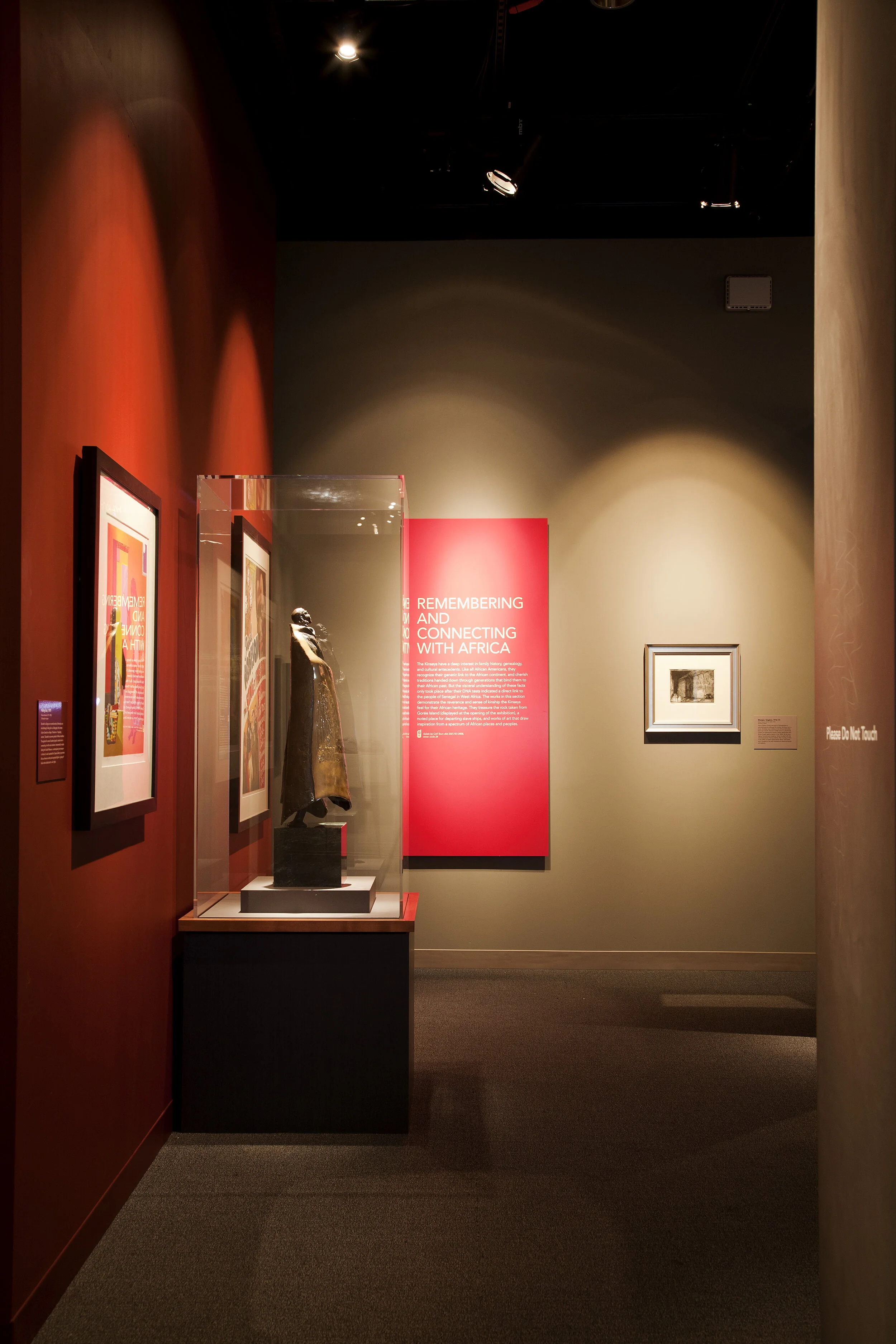 The Collection — The Kinsey Collection