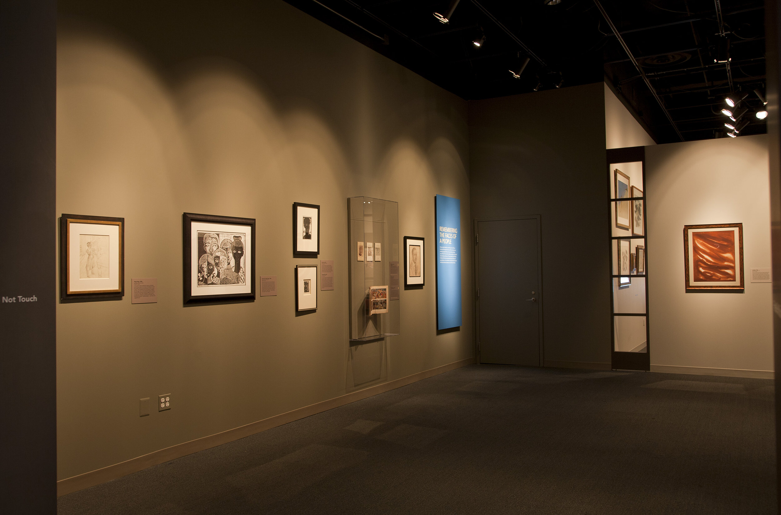 The Collection — The Kinsey Collection