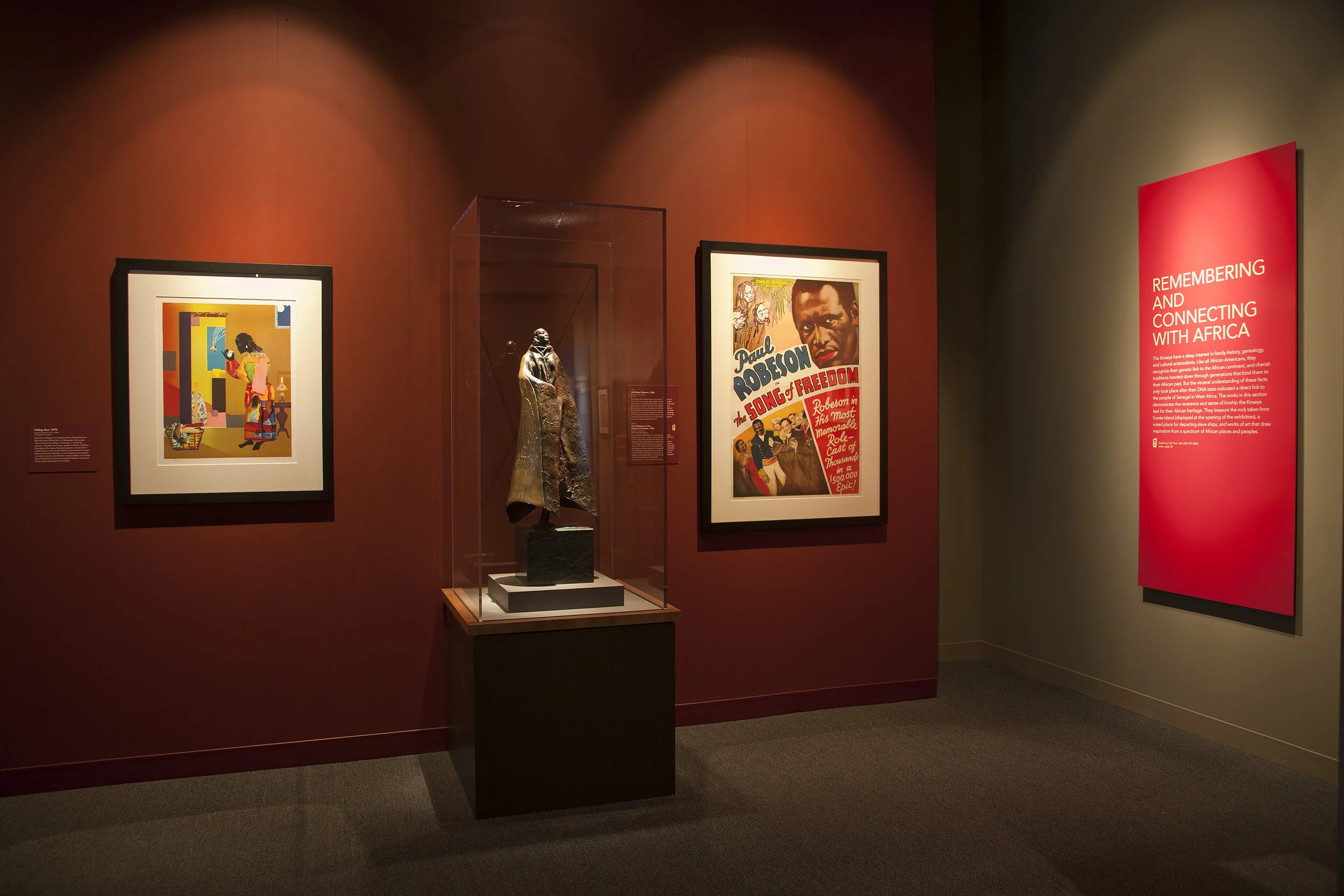 The Collection — The Kinsey Collection