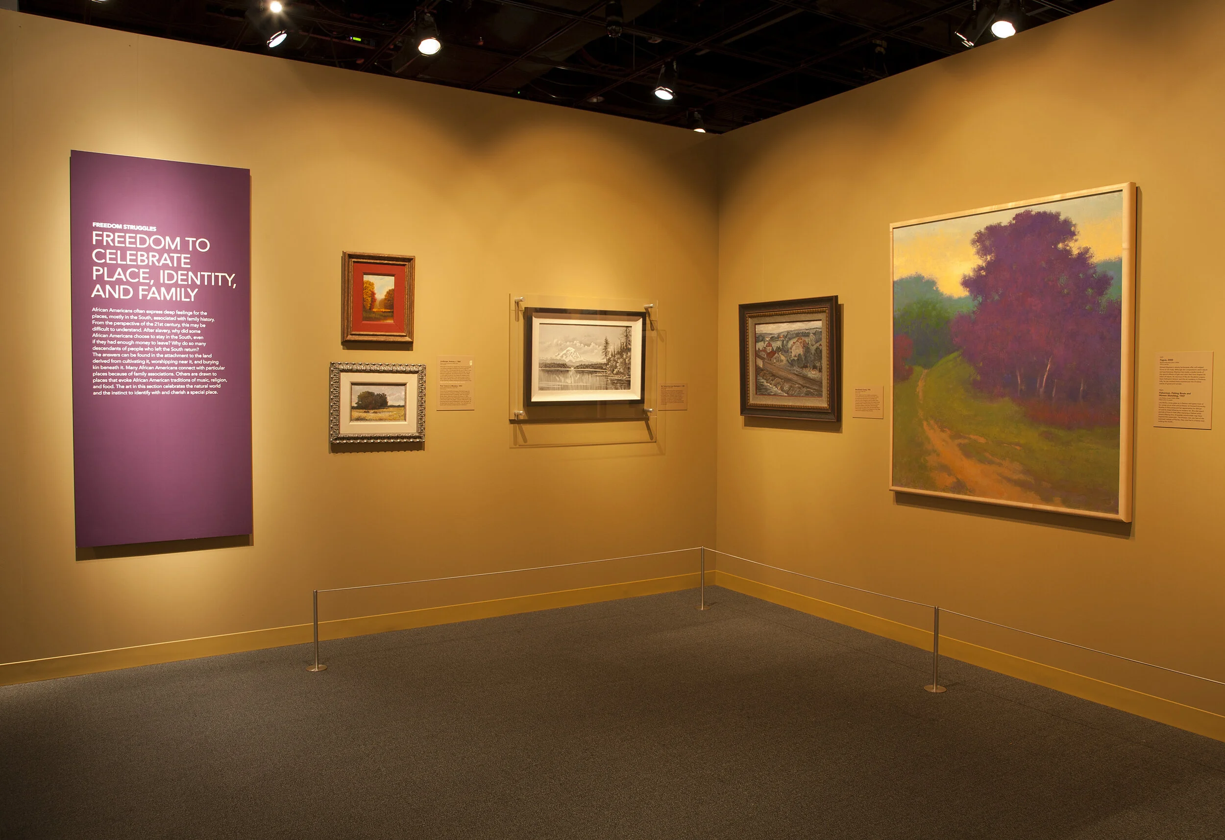 The Collection — The Kinsey Collection