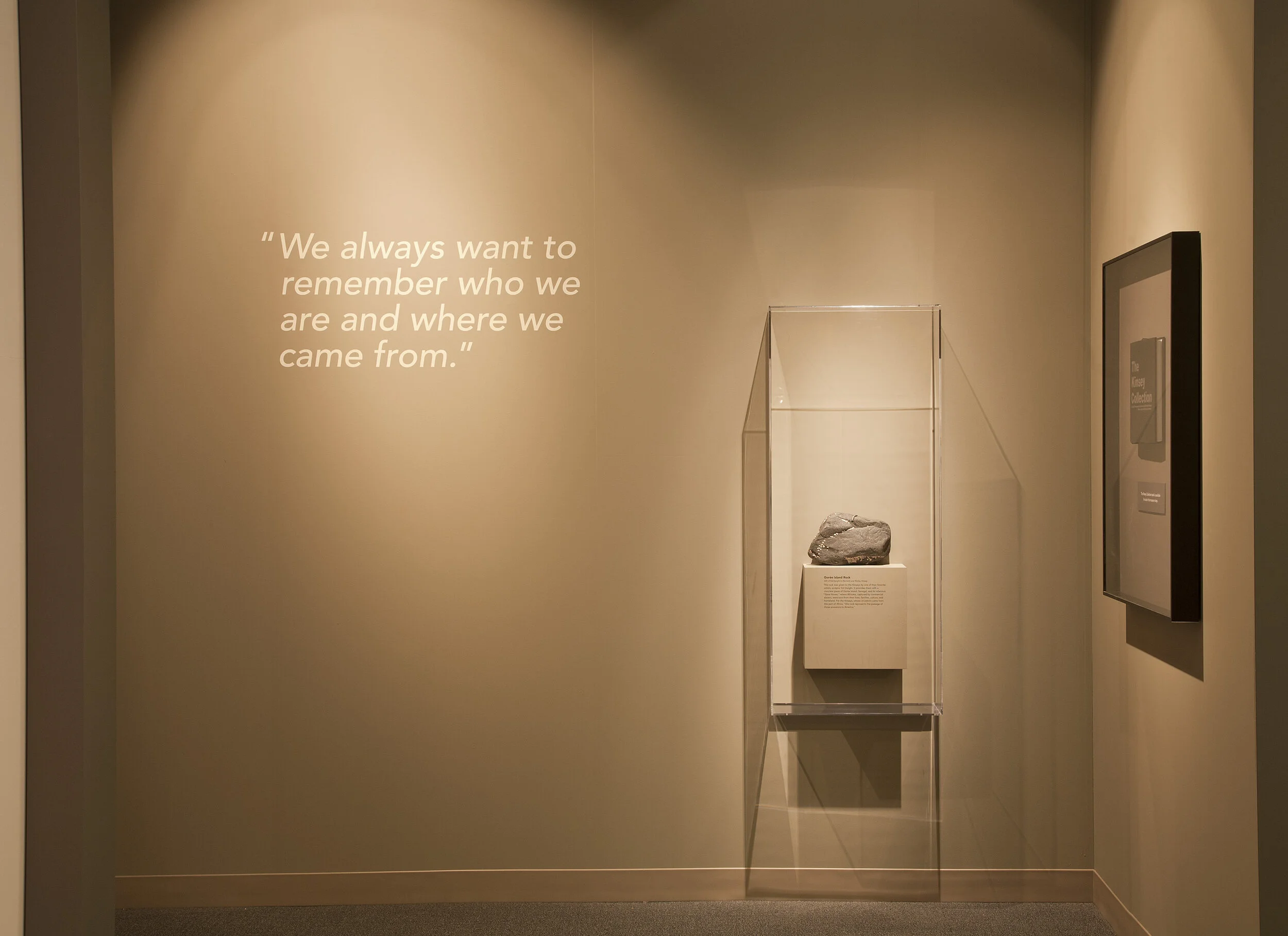 The Collection — The Kinsey Collection