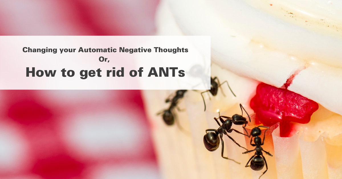 How to think new thoughts (and believe them) — Kim Witten Coaching ...