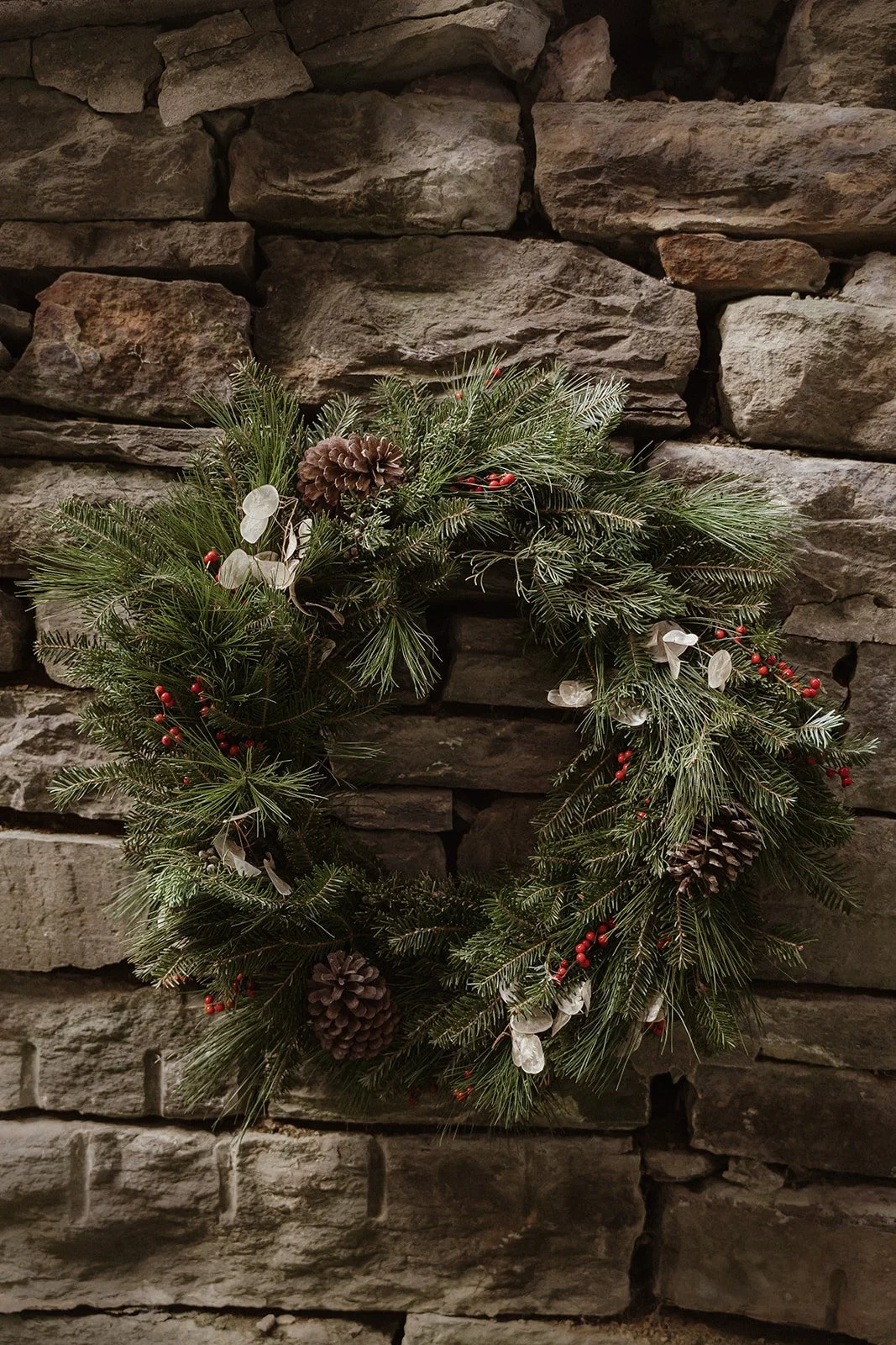 Store 2 — Spore and Seed