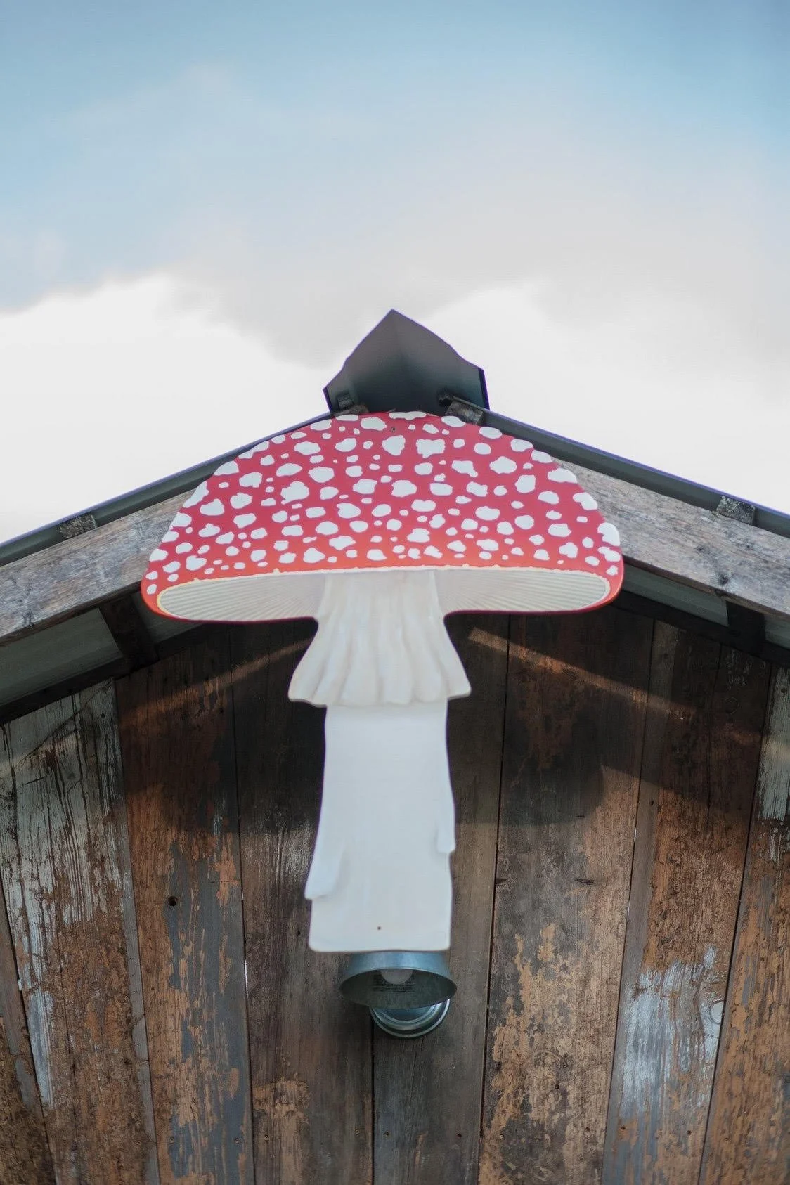 About 1 — Spore and Seed