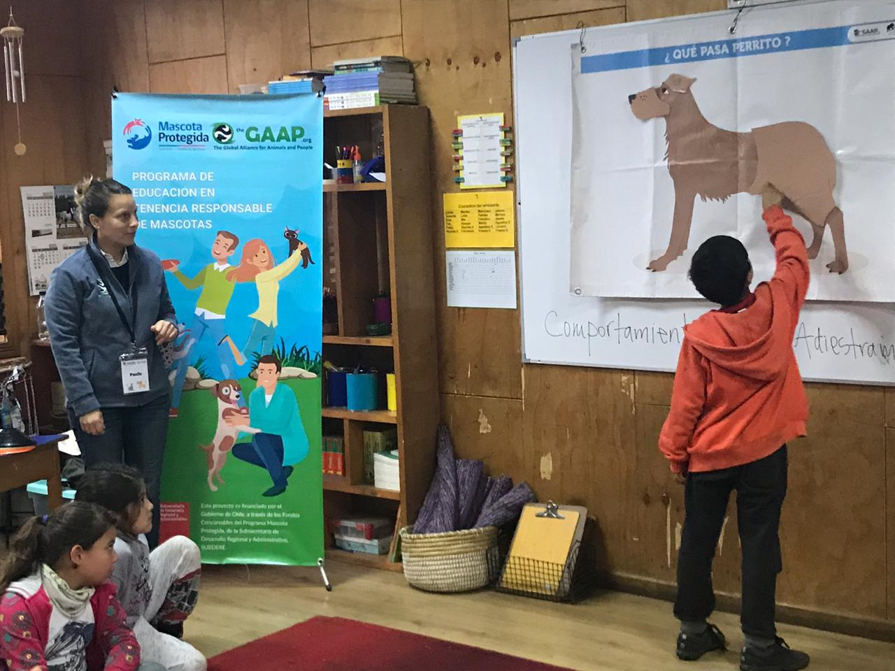 HUMANS: Responsible Pet Ownership & Animal Welfare Education in Chile ...