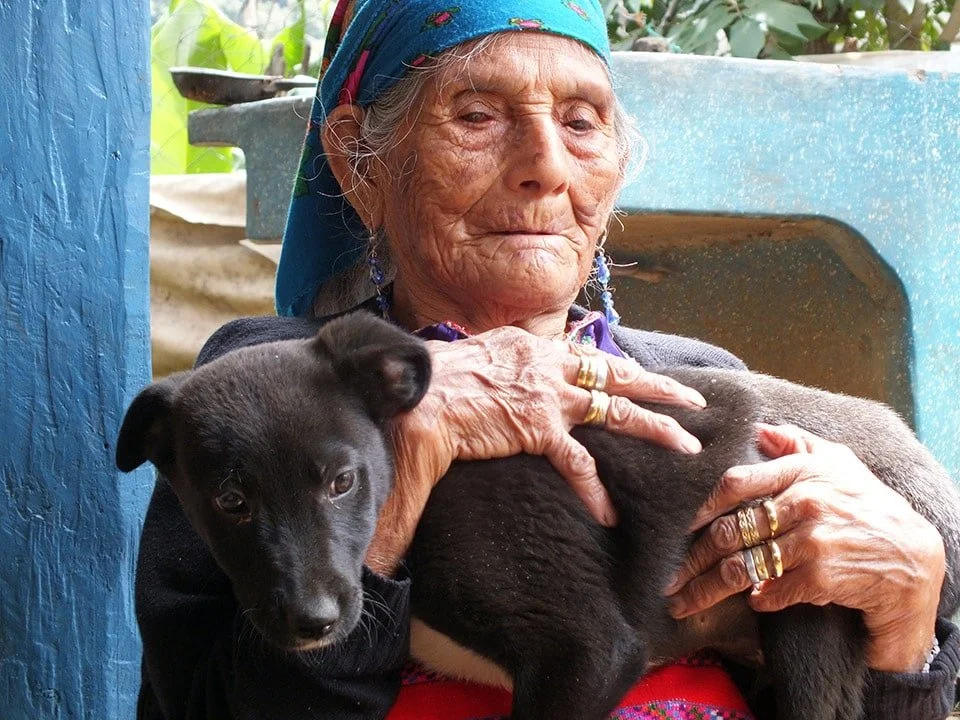 Maria and Meca — The Global Alliance for Animals and People