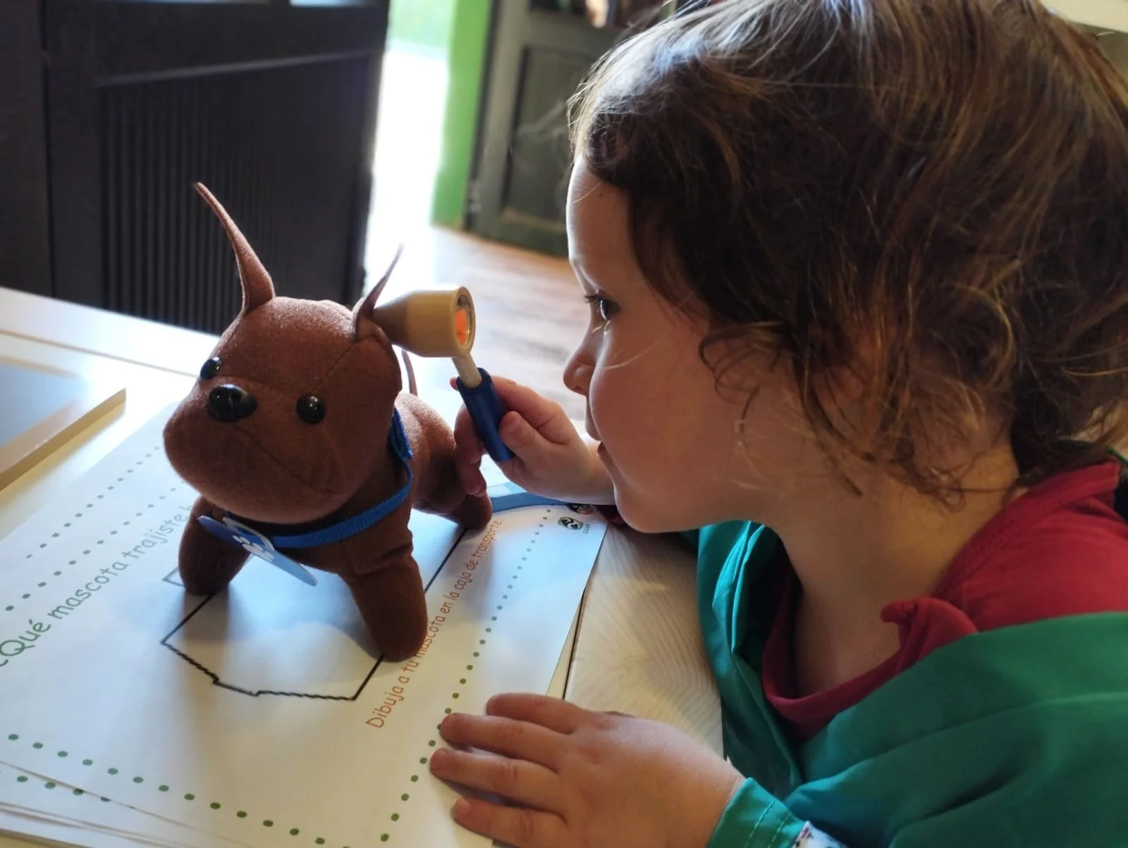 Kid-Friendly Vet Clinic for Animal Welfare Education — The Global ...