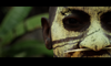 About Us — ROTU Entertainment - Video Games and Virtual Production