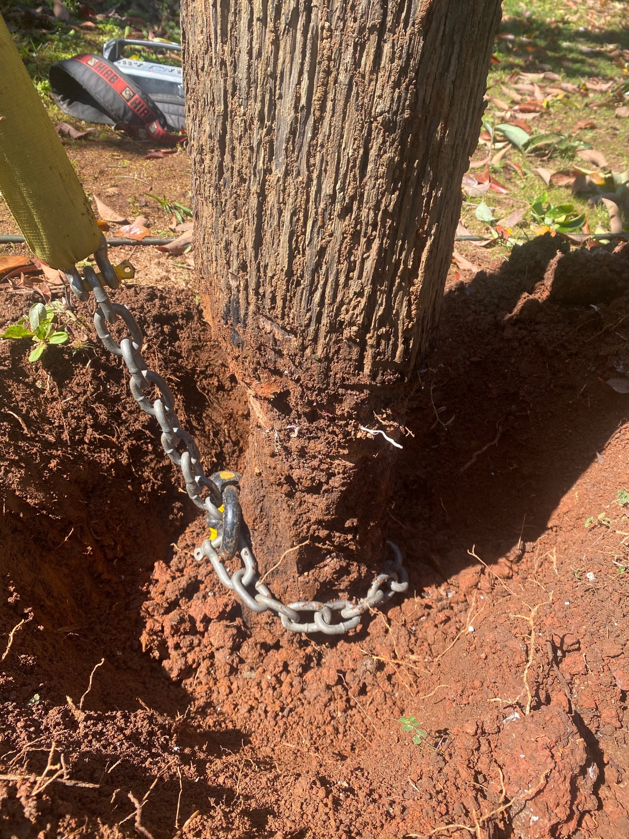 Power Poles, Overhead and Underground Power — Nifty Electrical Services ...