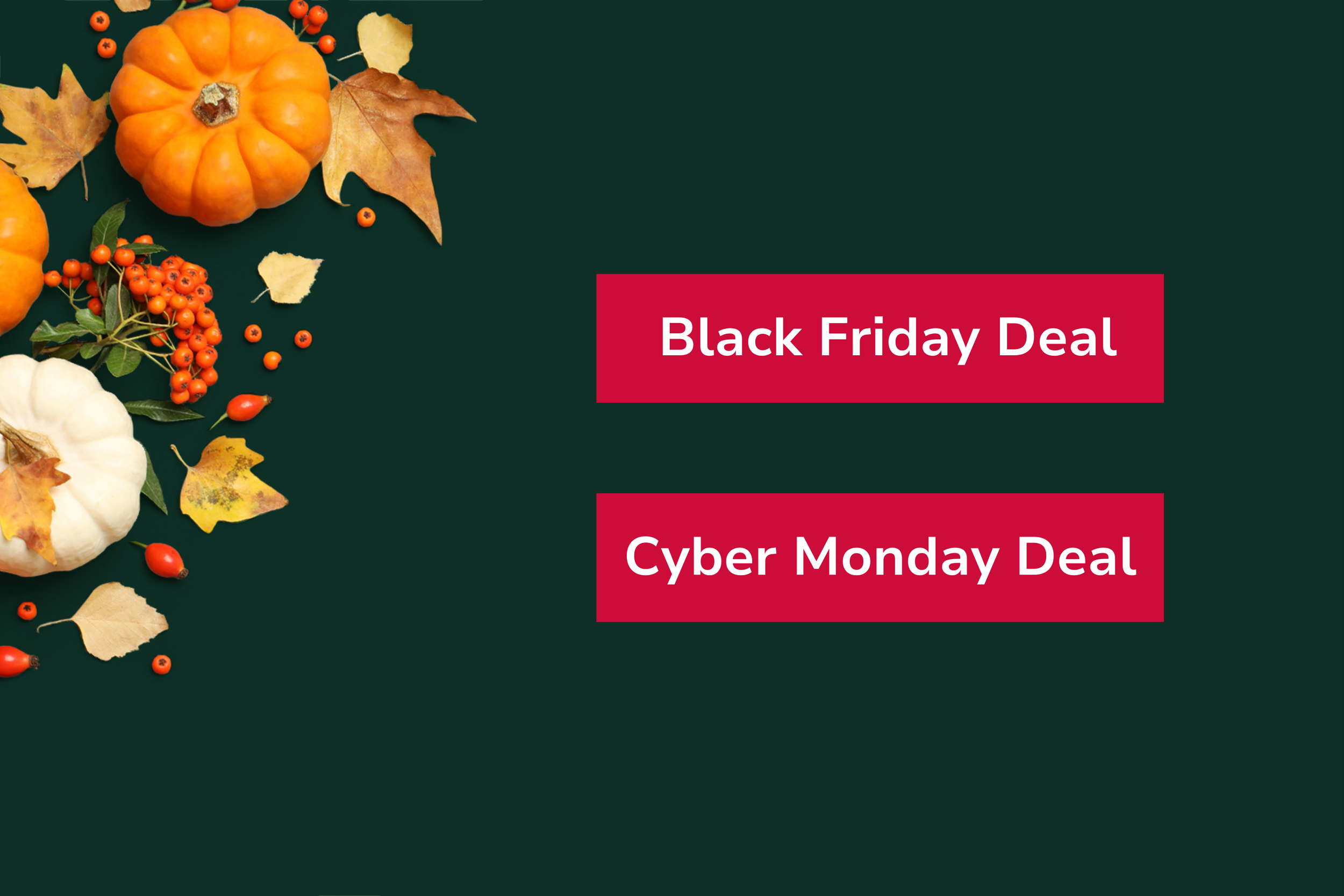 Amazon’s Turkey 11 2023 Takeaways — Global Overview | Full Service ...