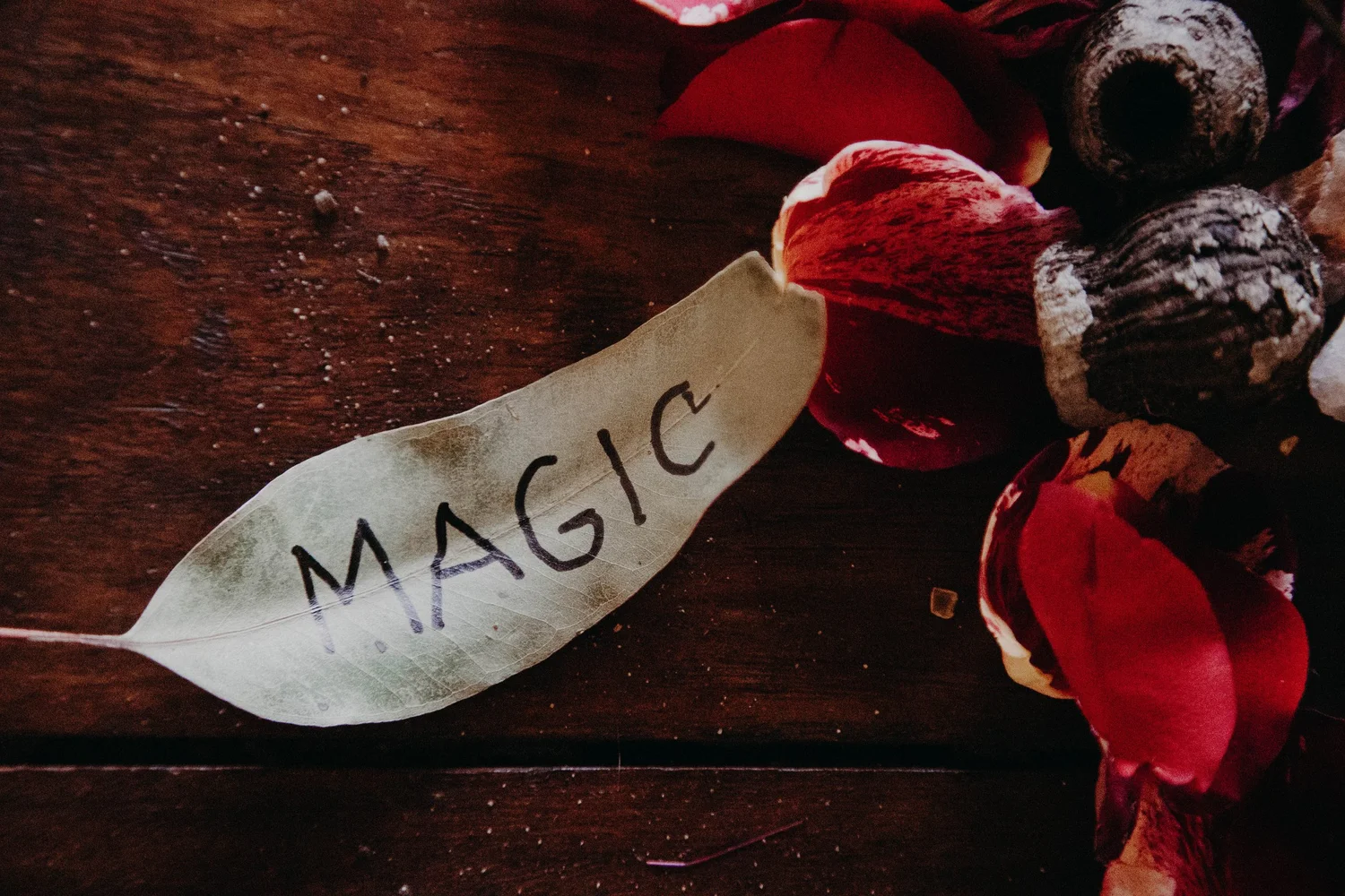 The Art of Earth Altars - Online Course — EARTH ALTERING