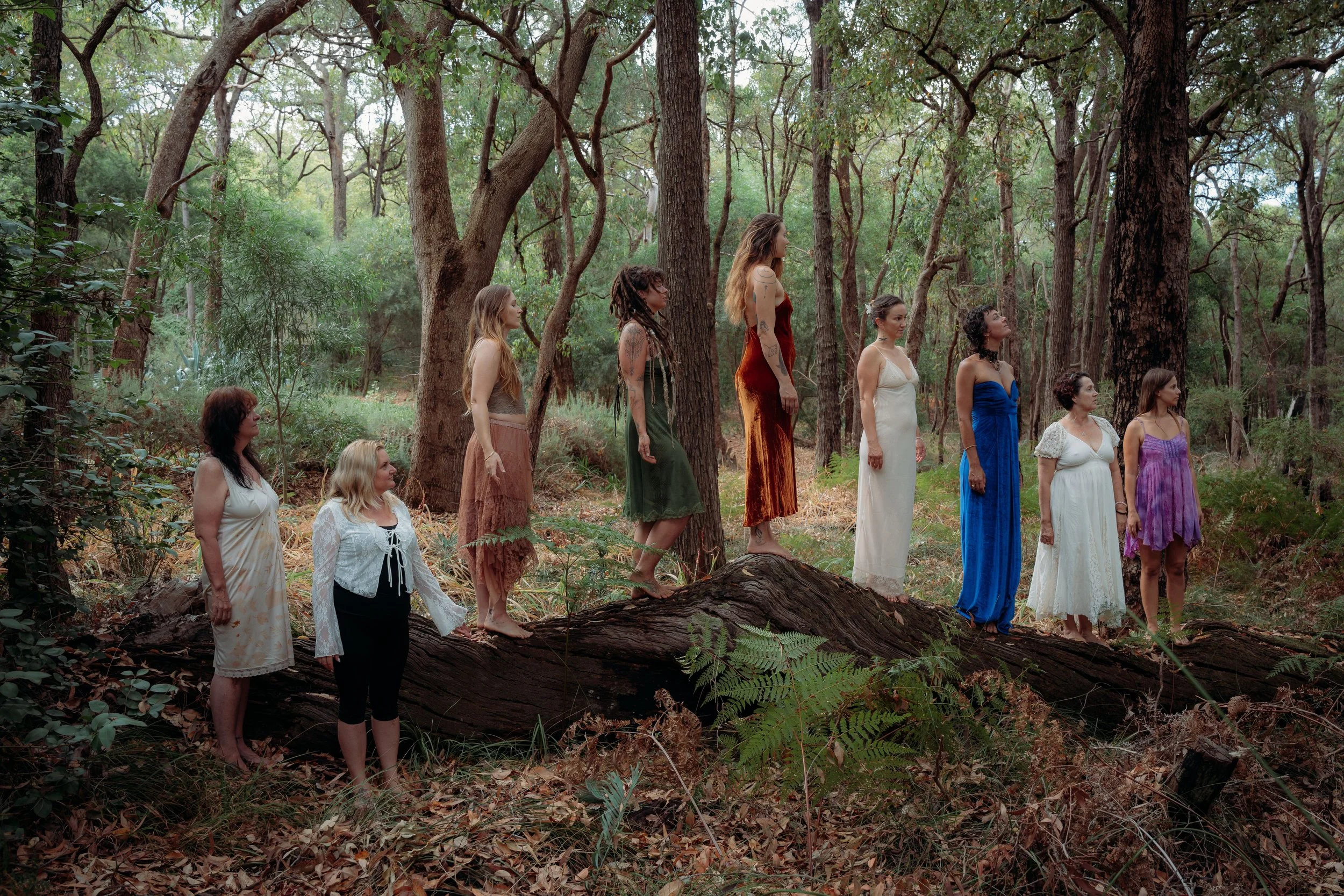 Earth Altering 2025 Intentions — EARTH ALTERING