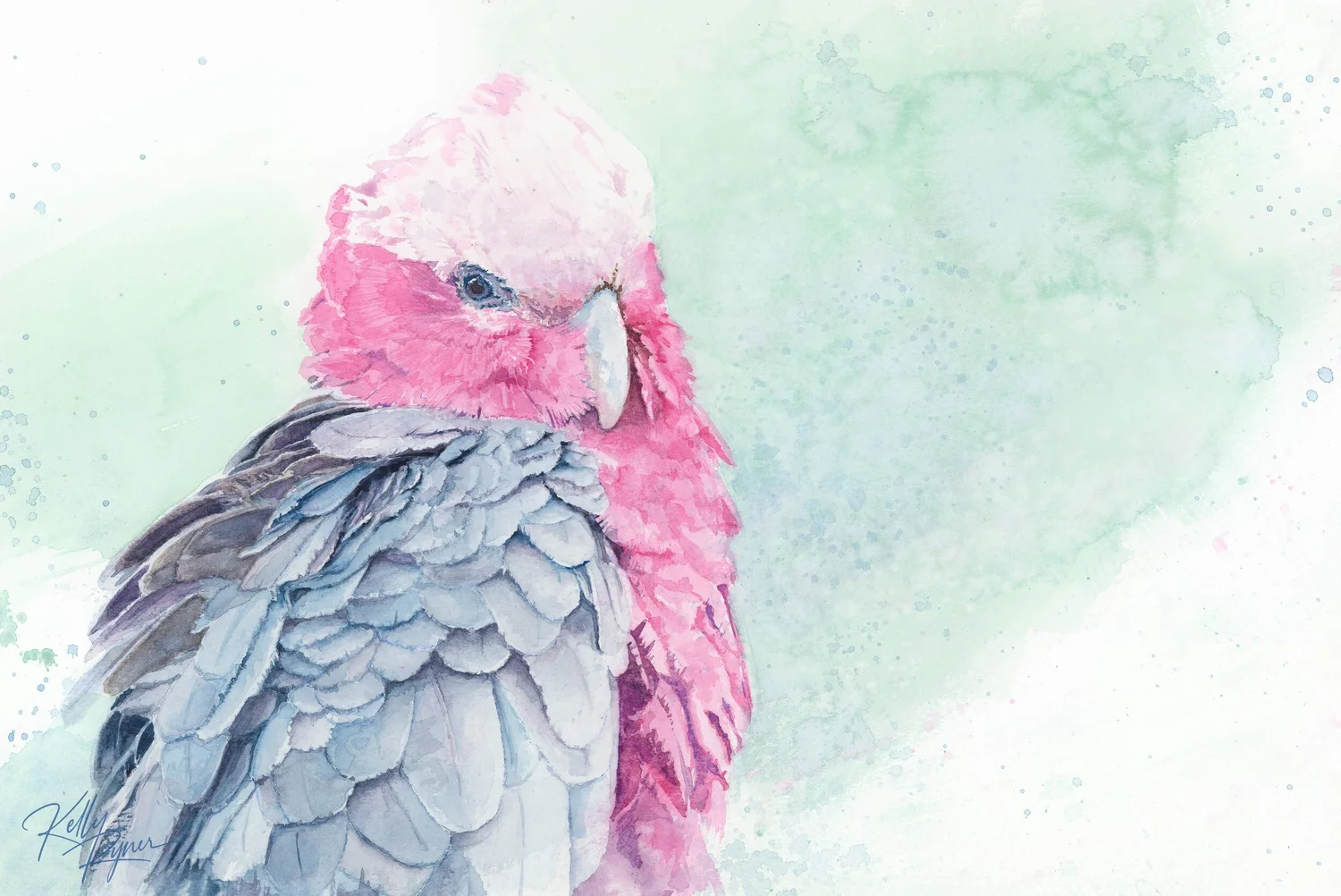 Australian Watercolour Animal Birds | Kelly Ryner — Kelly Ryner ...